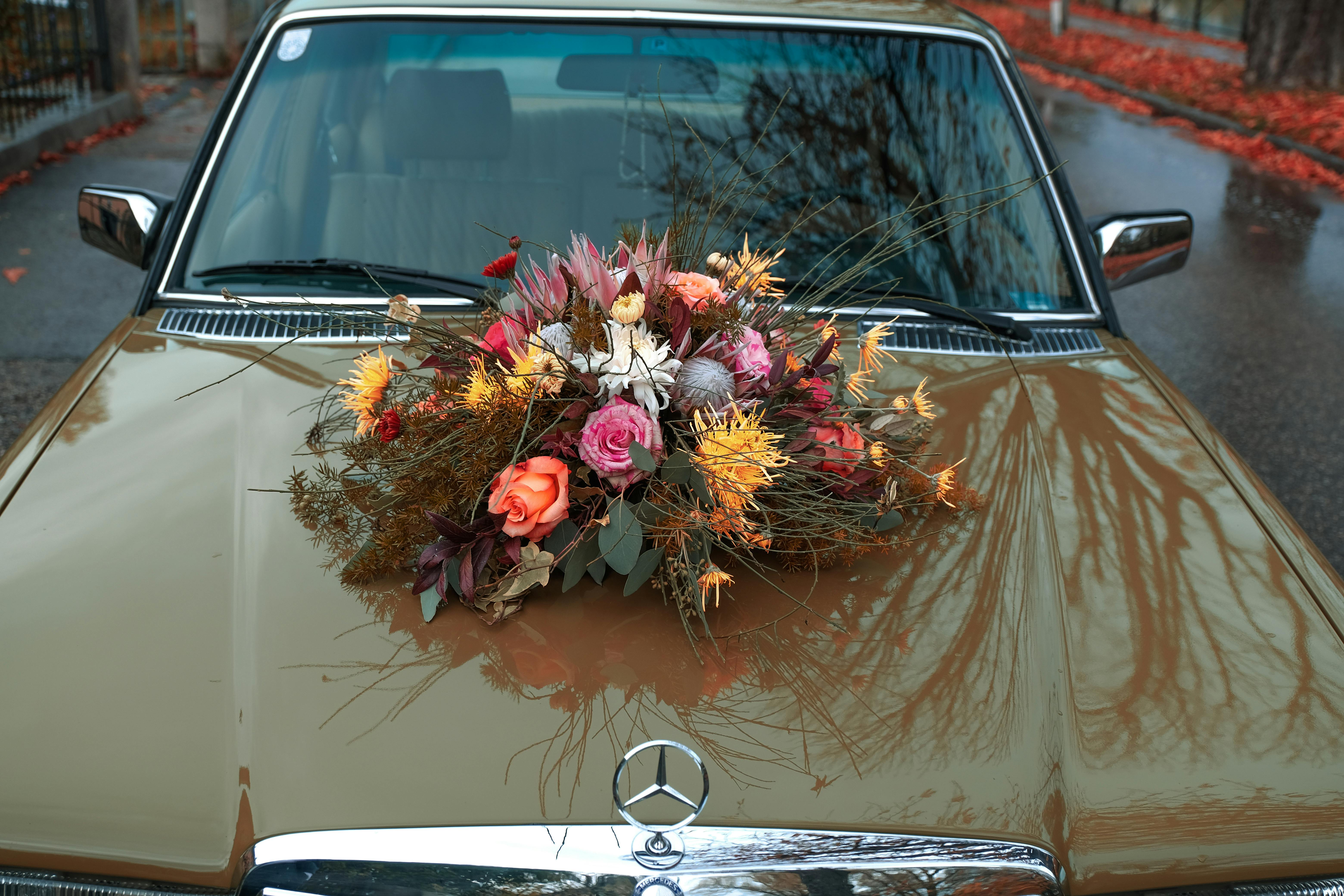 Rose Dashboard Photos, Download The BEST Free Rose Dashboard Stock ...