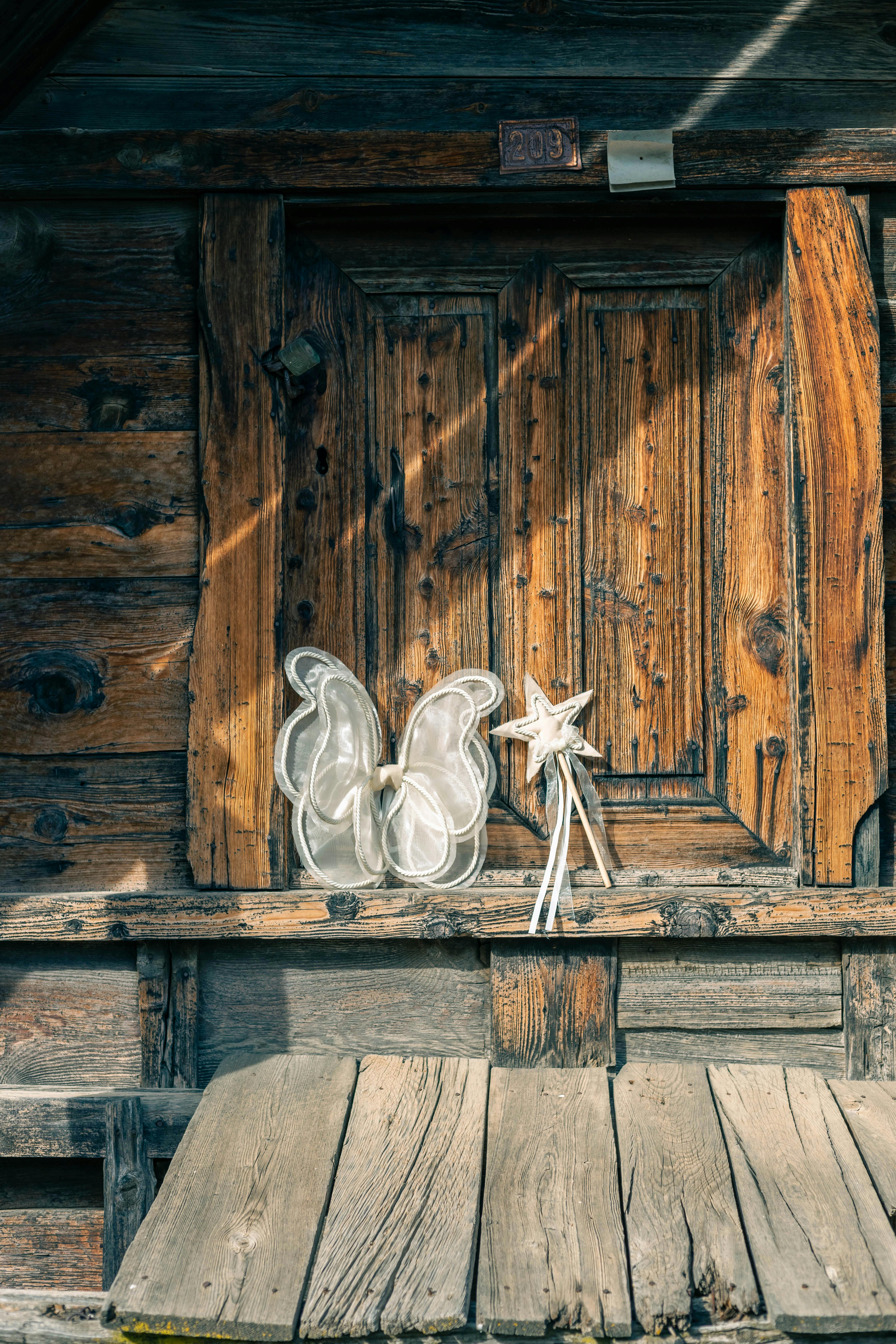 Wings and a Wand · Free Stock Photo