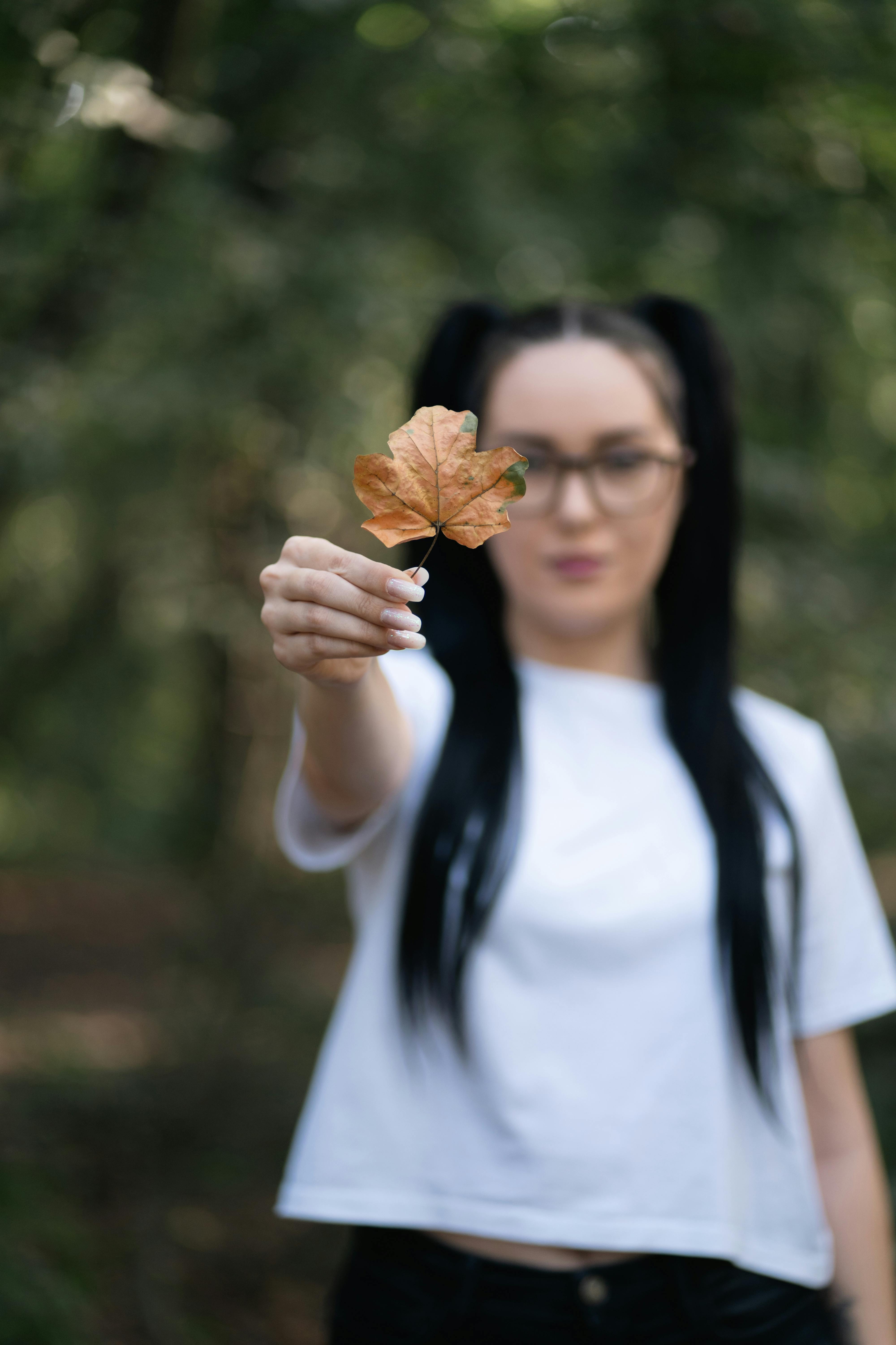 Pinnately Compound Leaf Photos, Download The BEST Free Pinnately ...