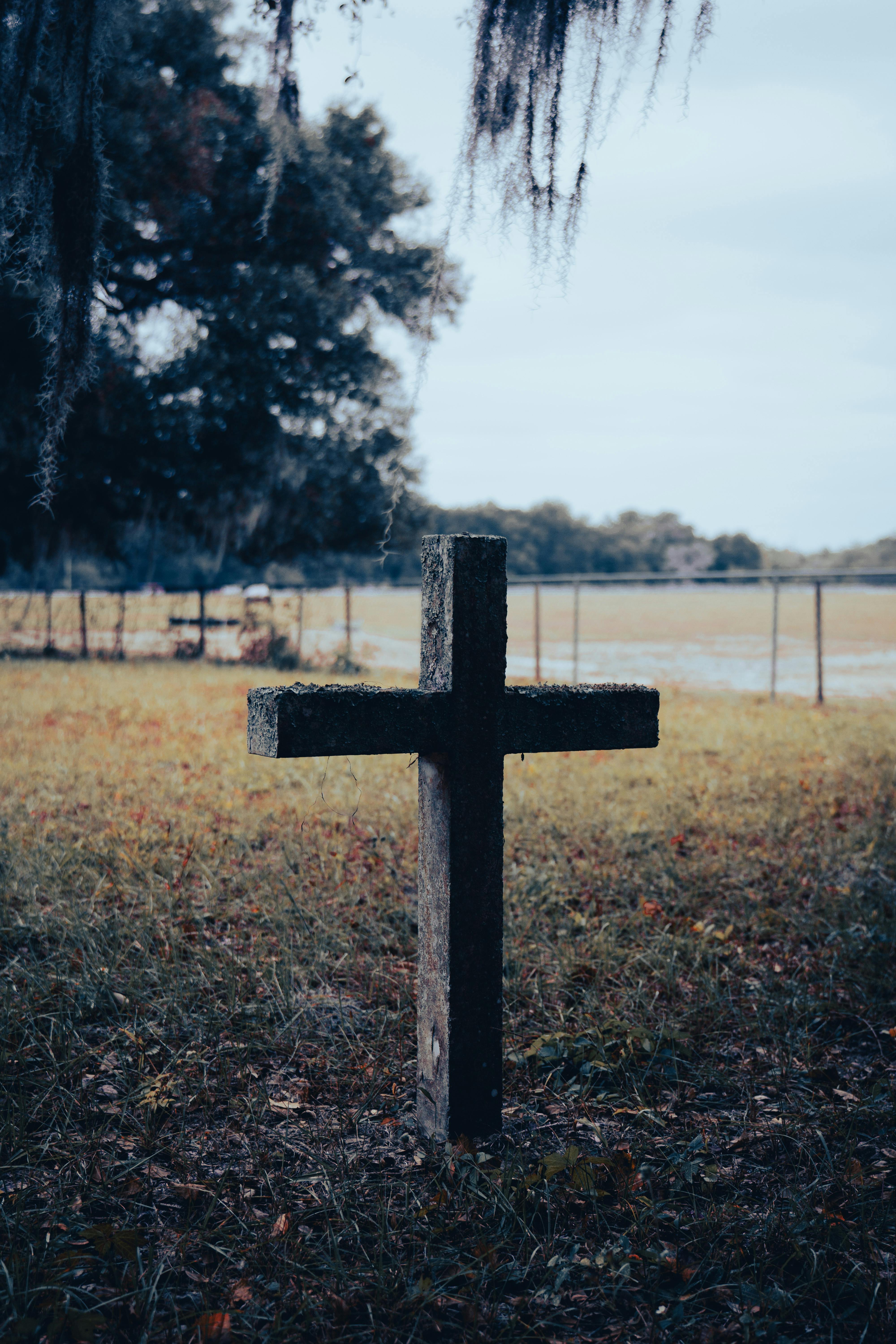 Moss Covered Cross in the Cemetery by the River · Free Stock Photo