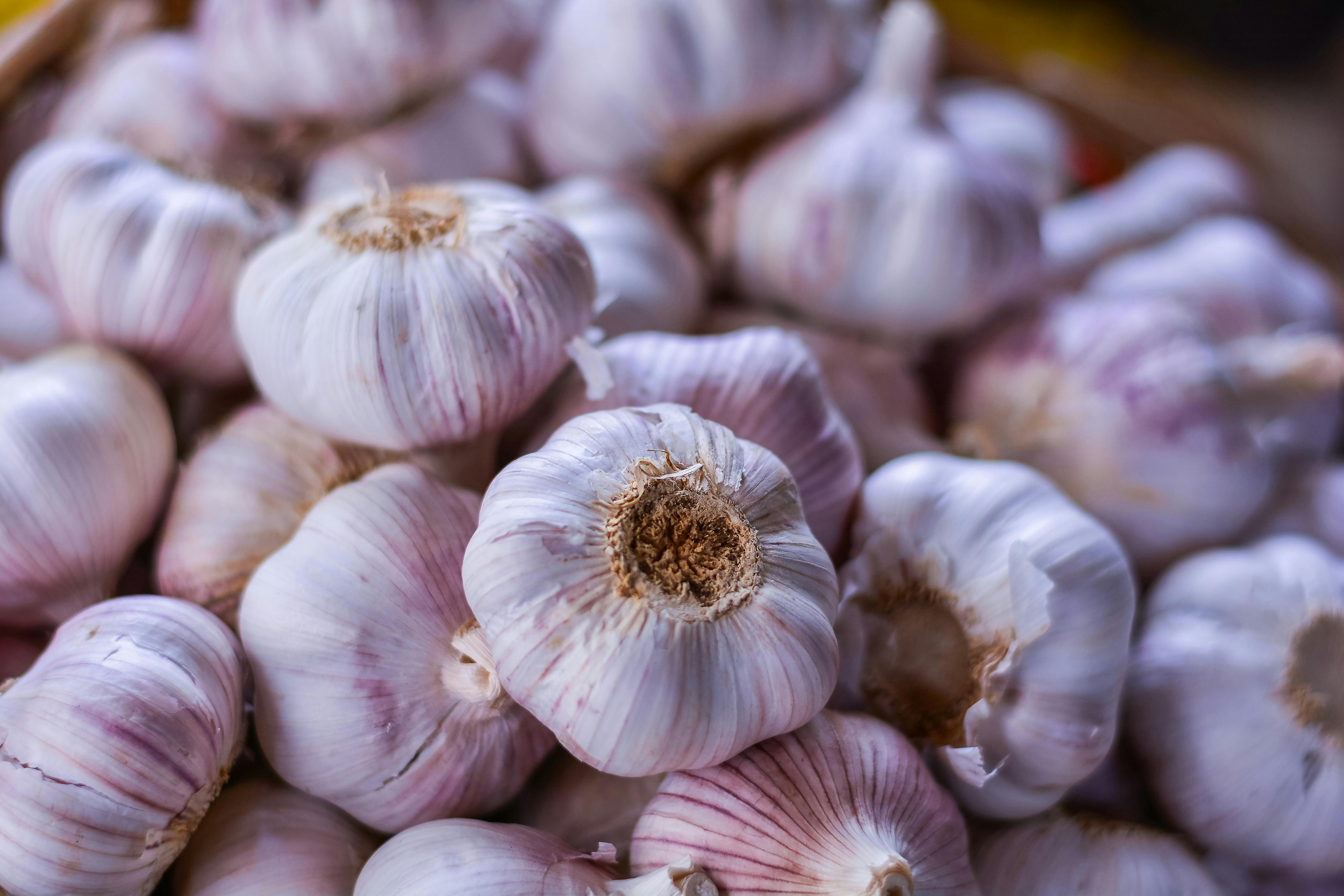 Close up of Garlic · Free Stock Photo