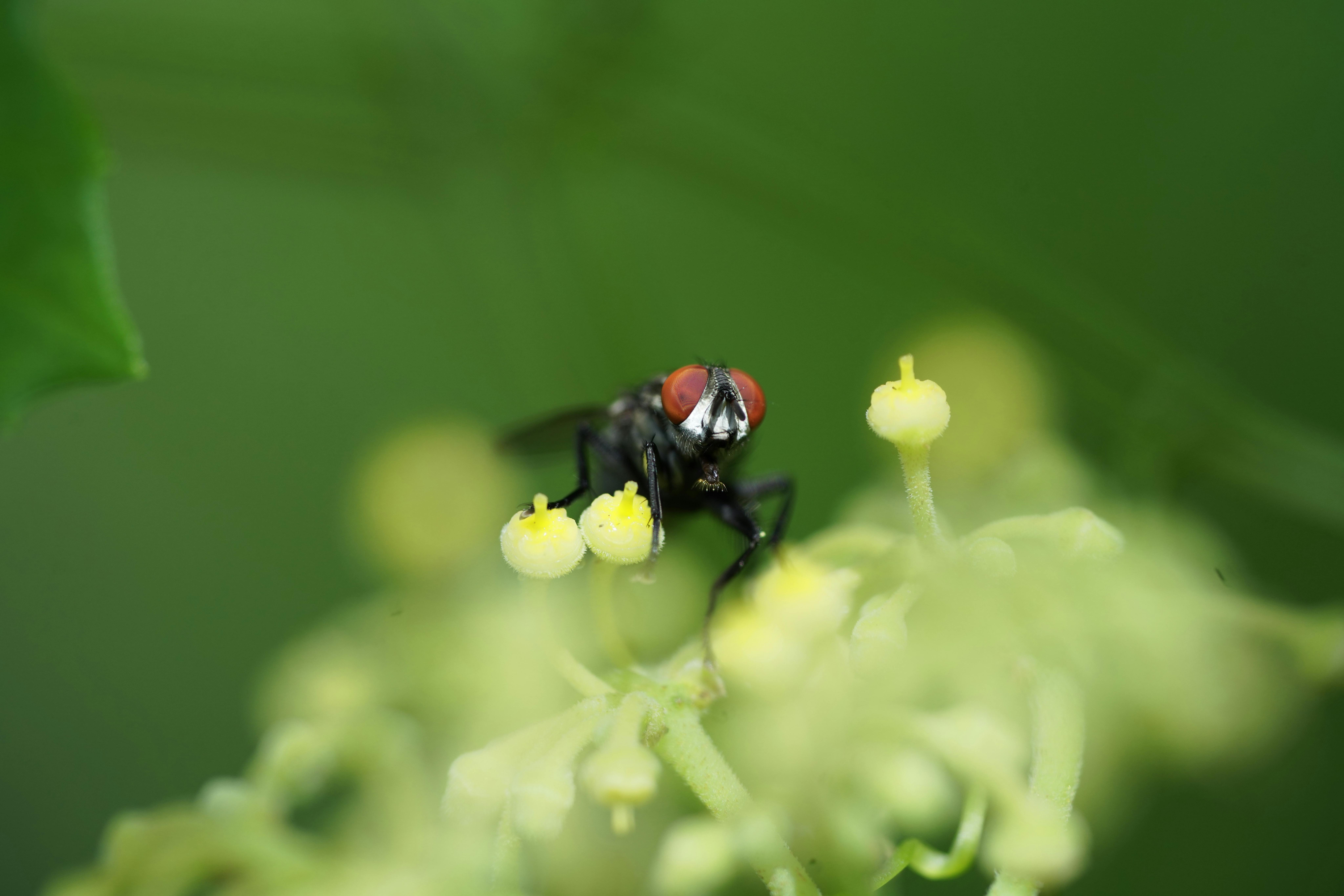 Animering Photos, Download The BEST Free Animering Stock Photos & HD Images