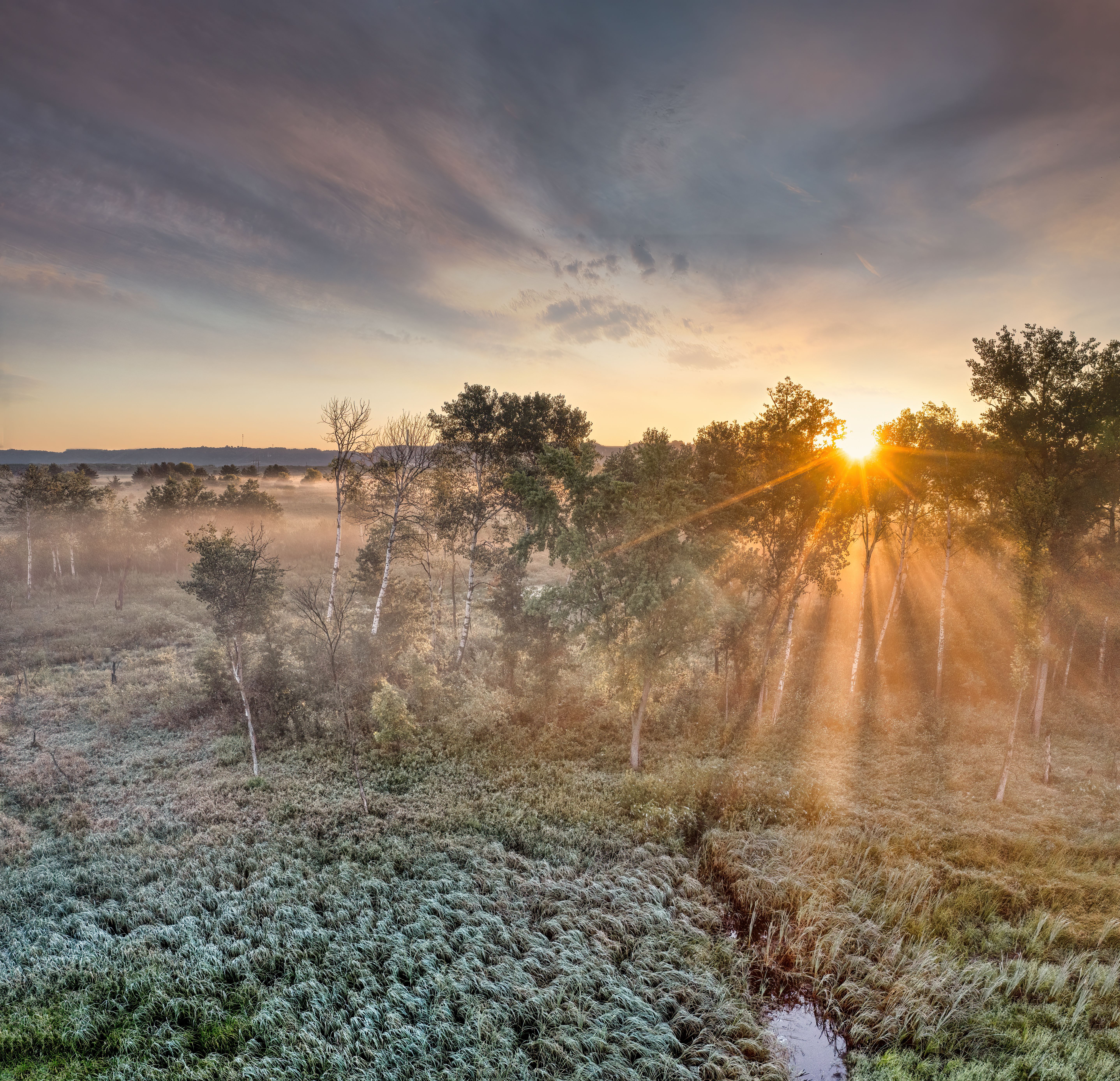 Morning Fog Over Countryside in the Light of Sunrise · Free Stock Photo