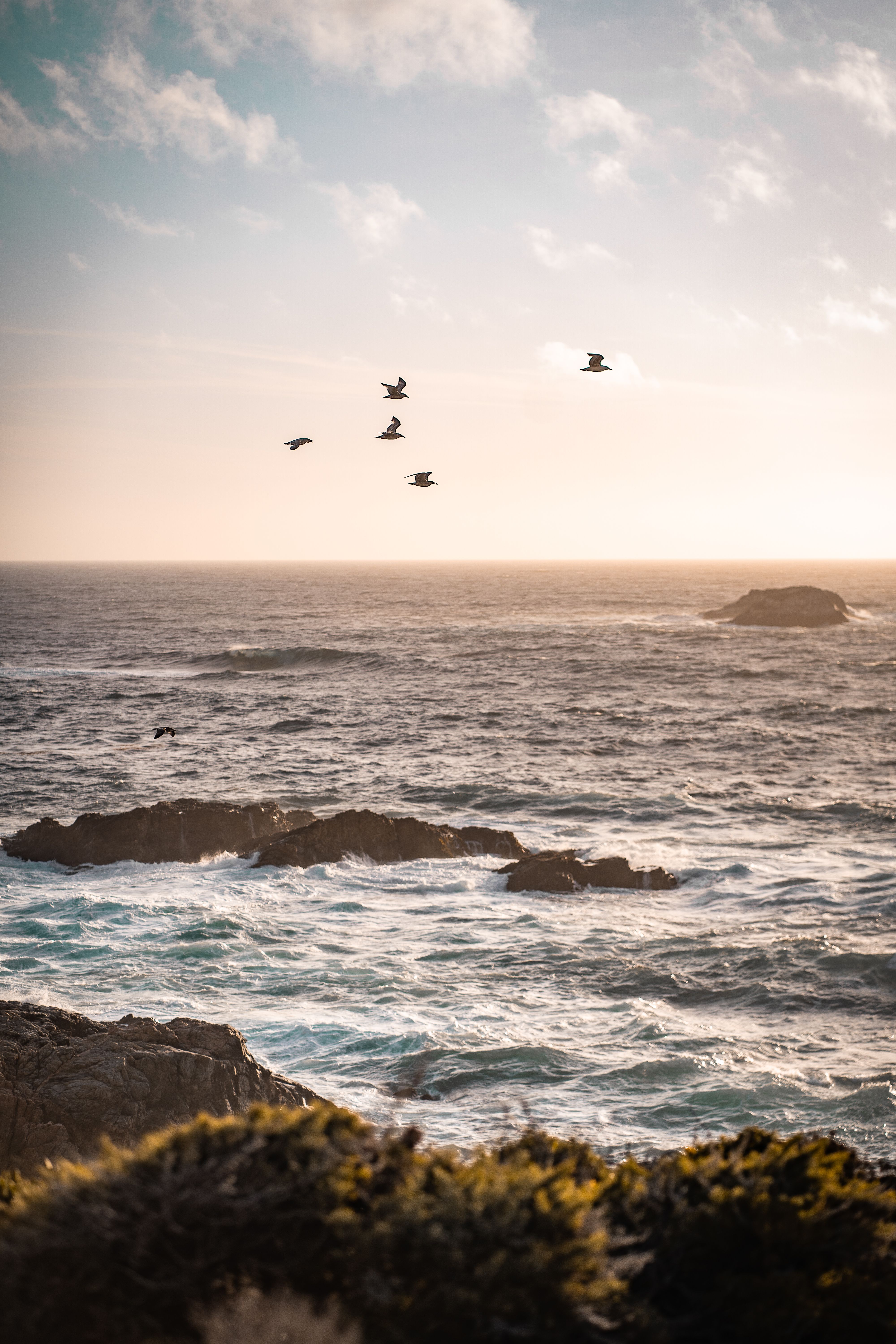 Comté de Monterey - Garrapata State Park Bluff Trail · Free Stock Photo