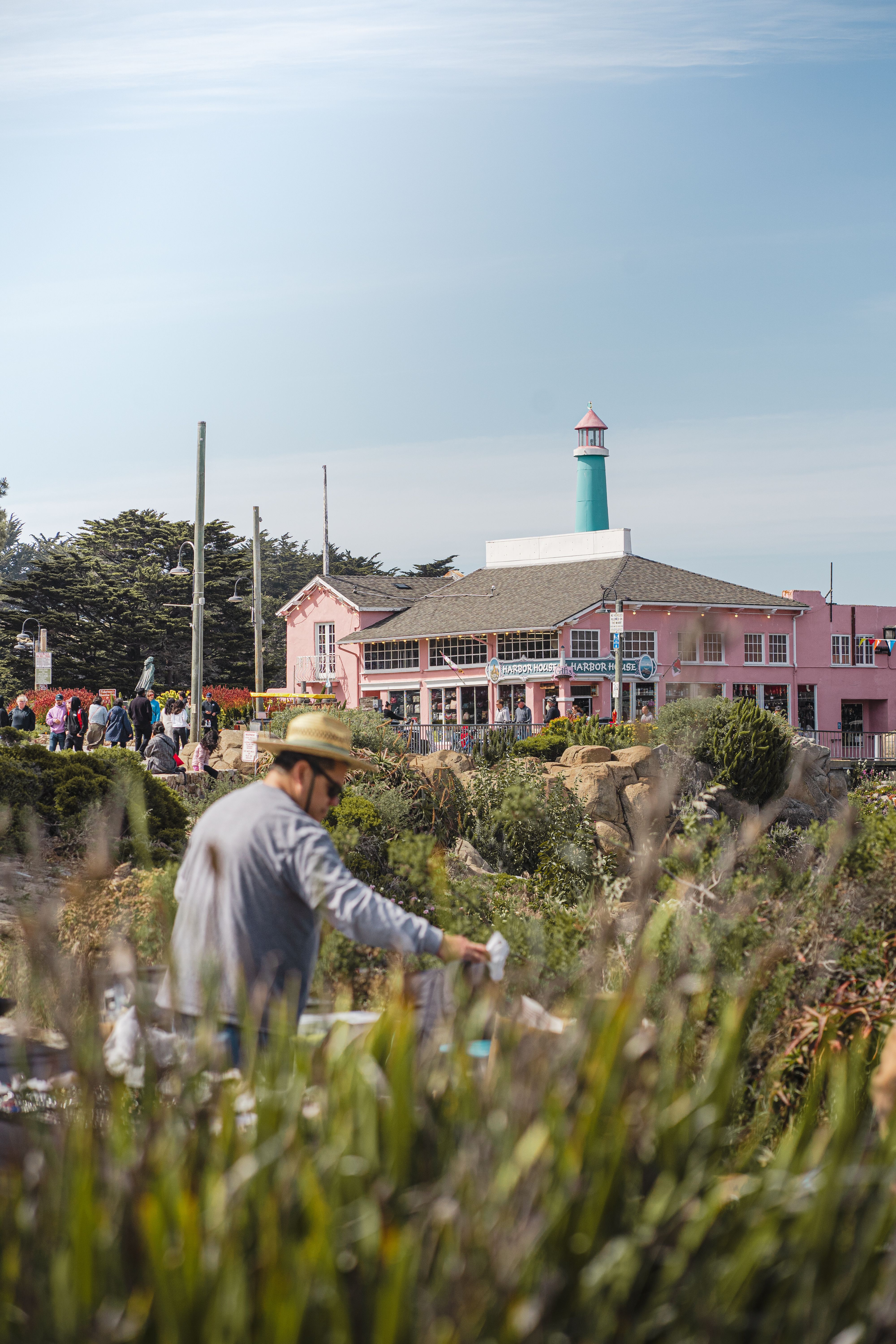 Monterey · Free Stock Photo