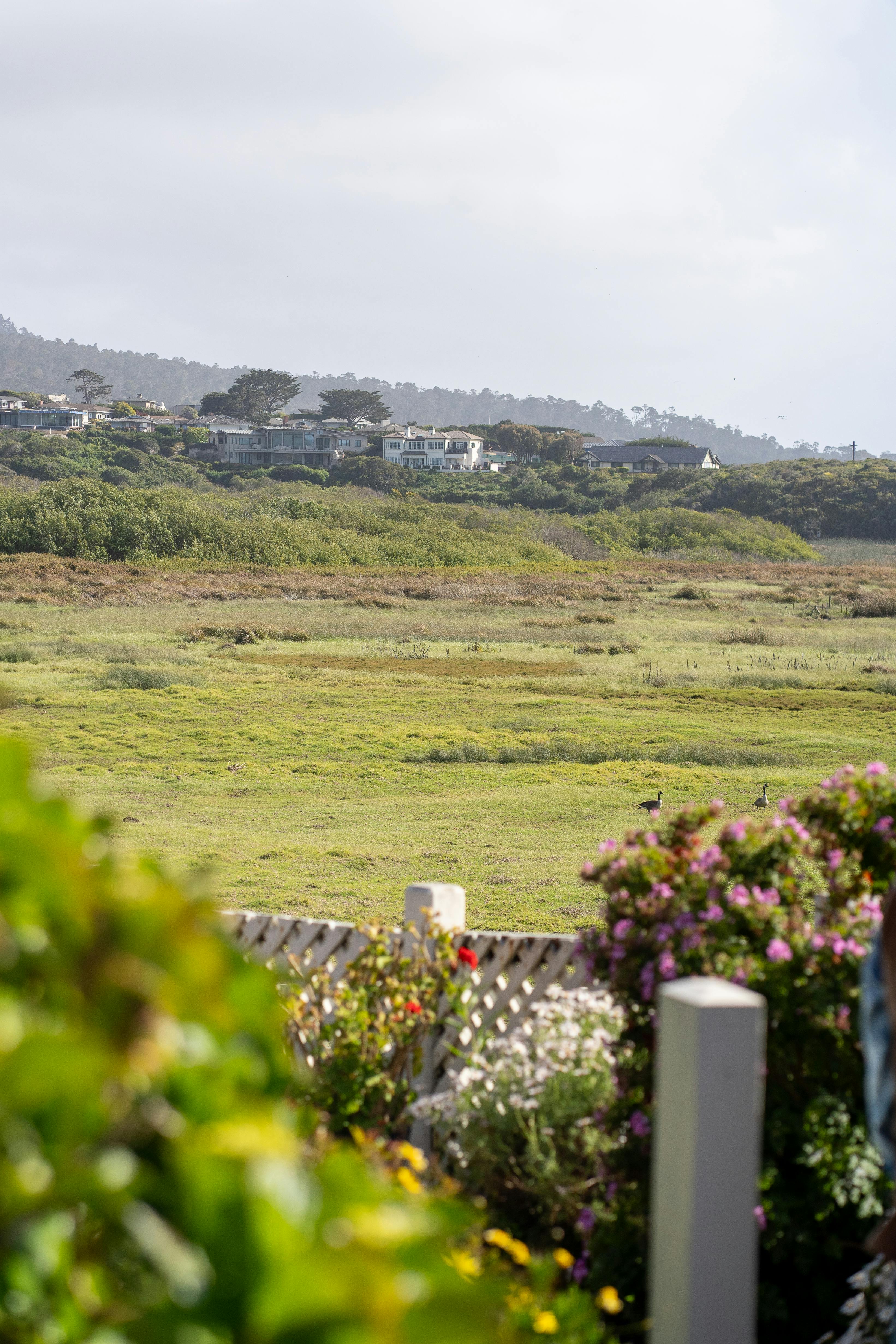 Carmely the sea - Clint Eastwood ranch - Mission Ranch · Free Stock Photo