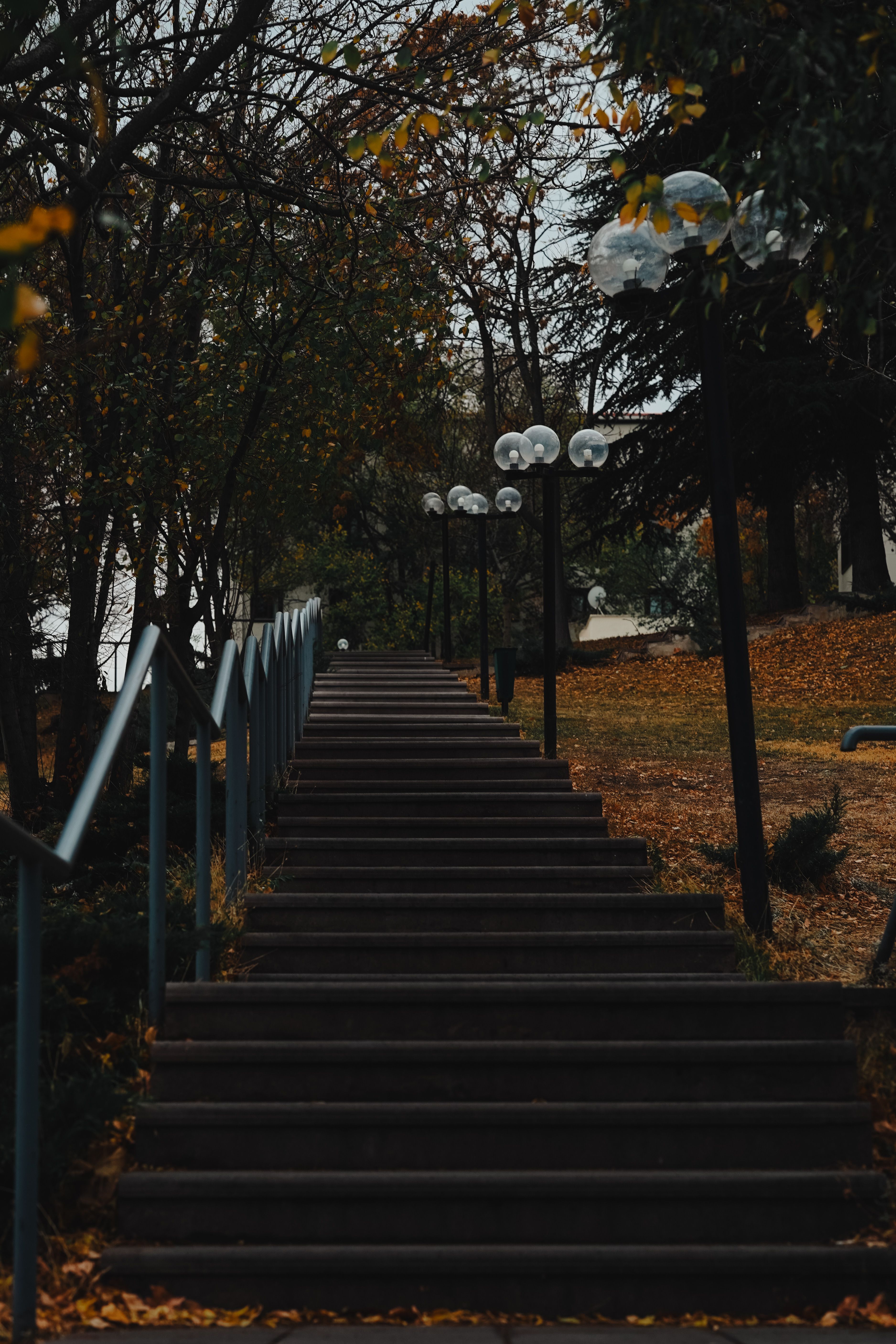 Long Stairs on the Hillside · Free Stock Photo