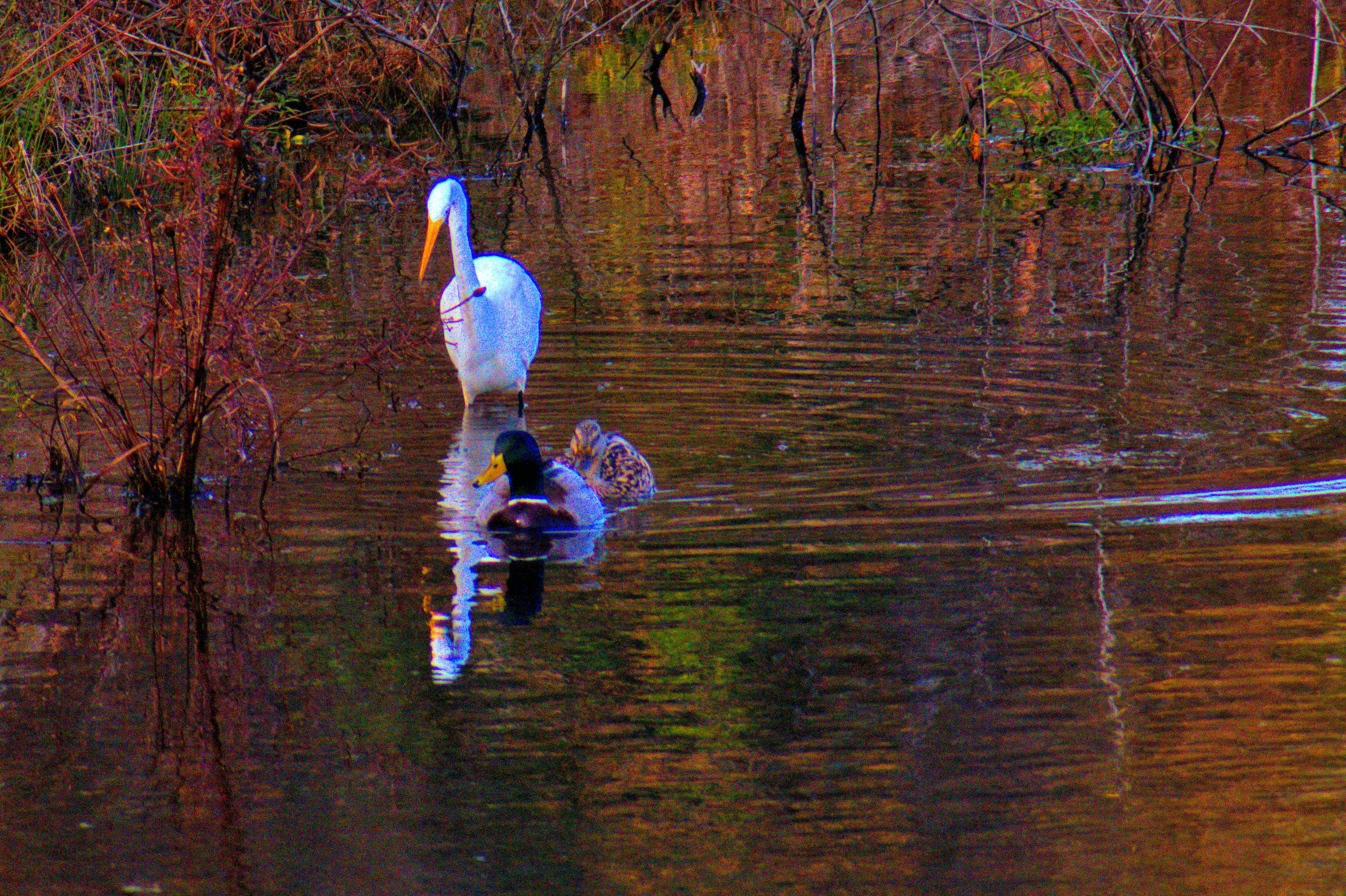 Marcus Goodman - Photography