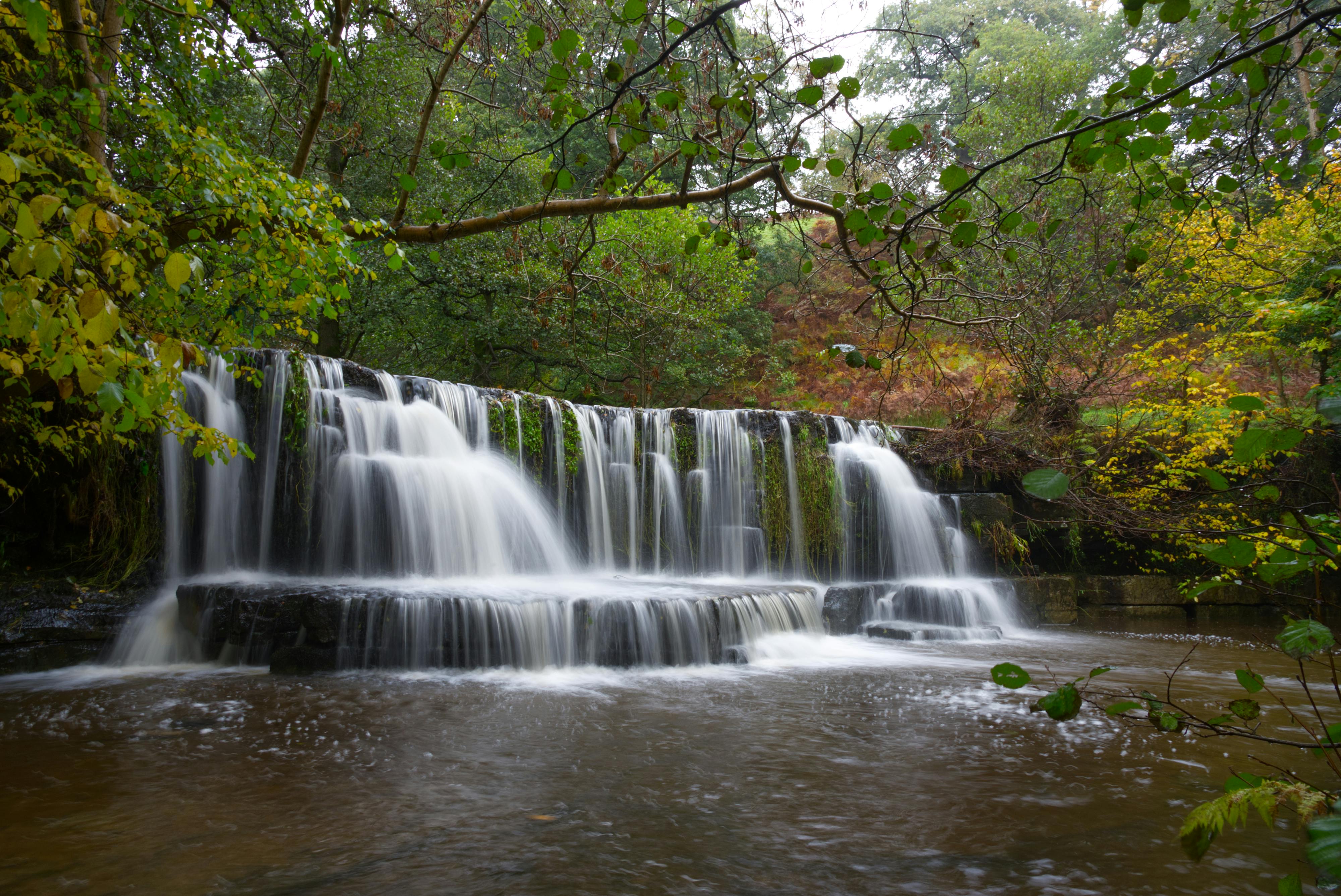 Waterfall in Forest · Free Stock Photo
