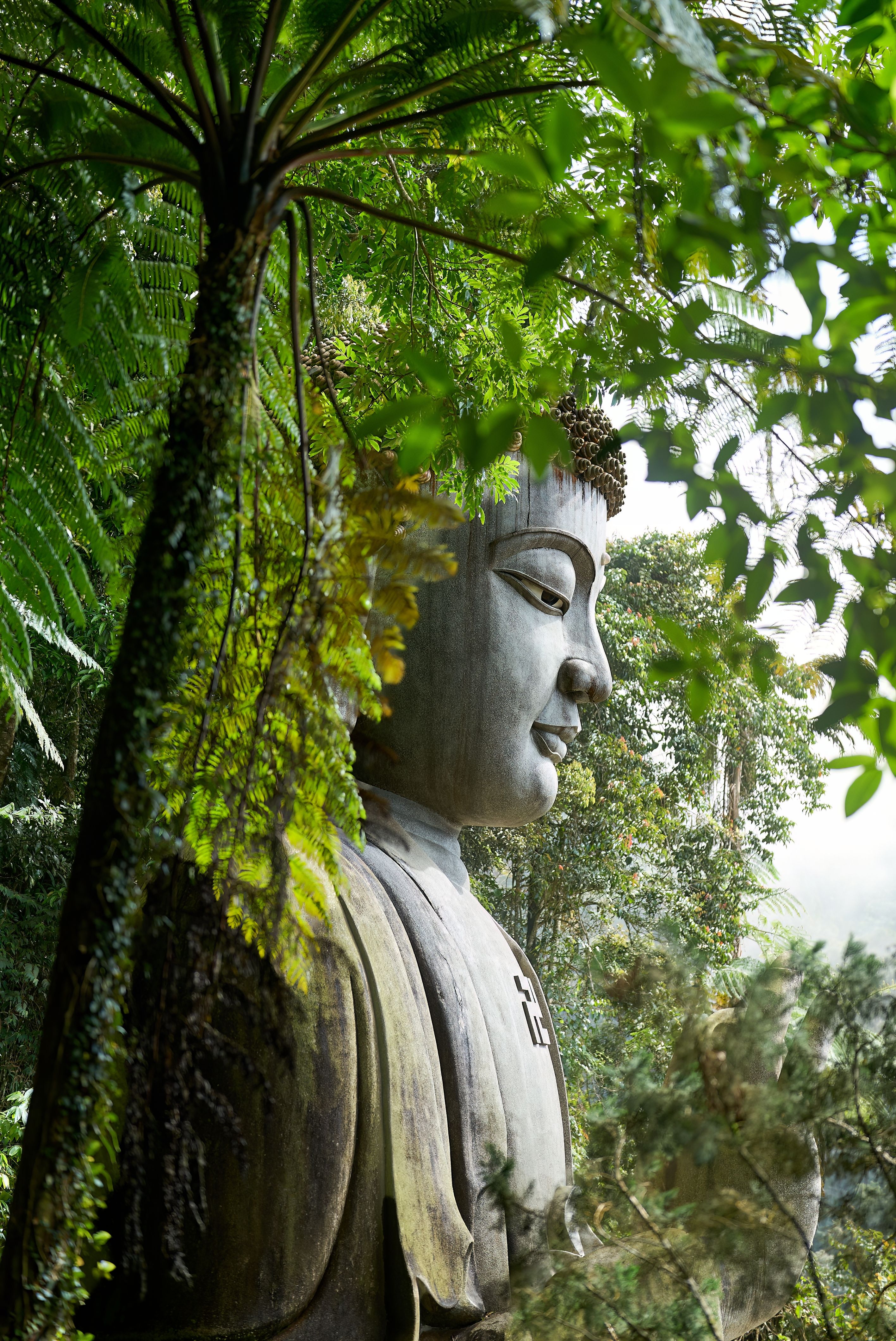 Buddha Shoal Photos, Download The BEST Free Buddha Shoal Stock Photos ...