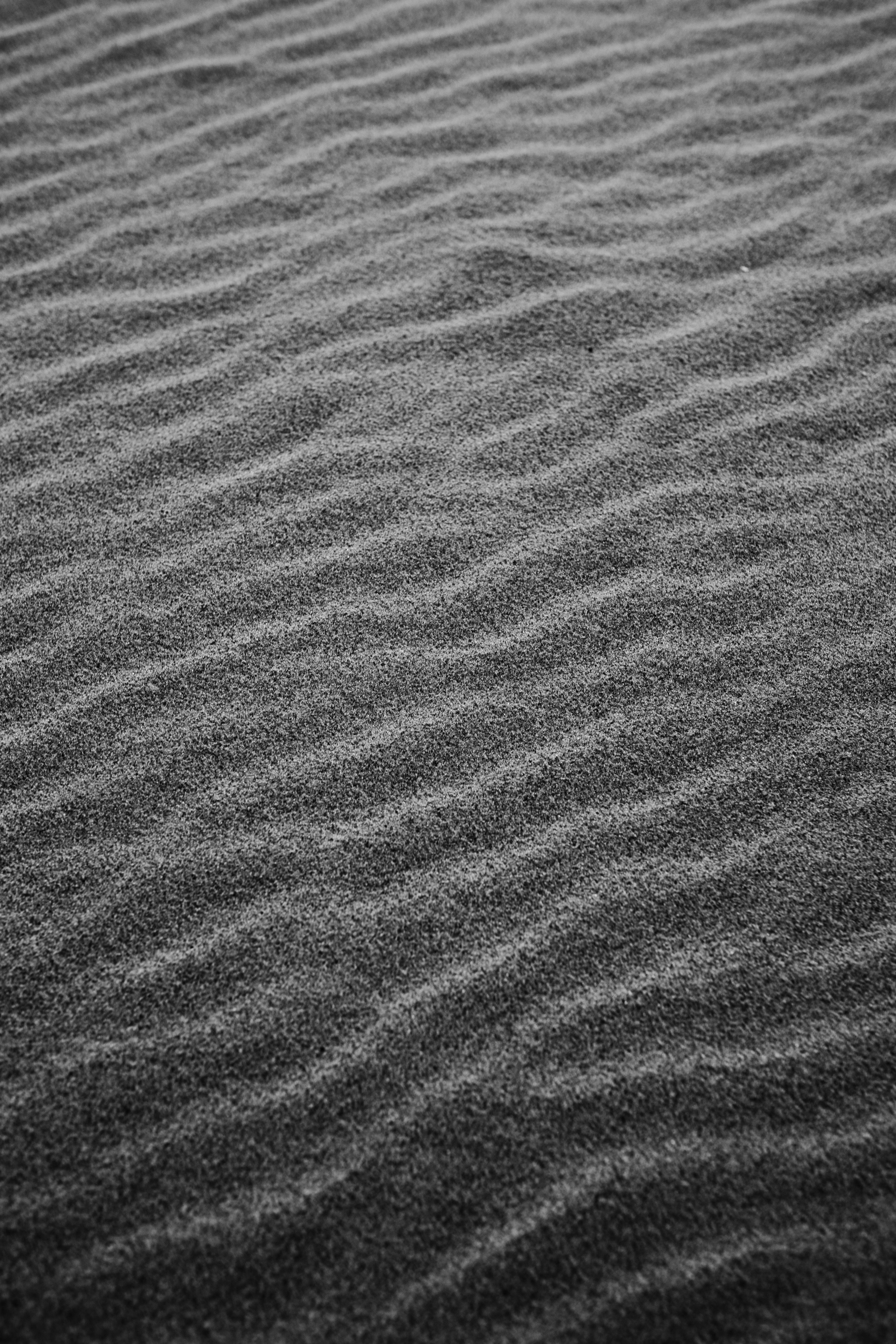Black and White Close-up of the Sand on a Beach · Free Stock Photo