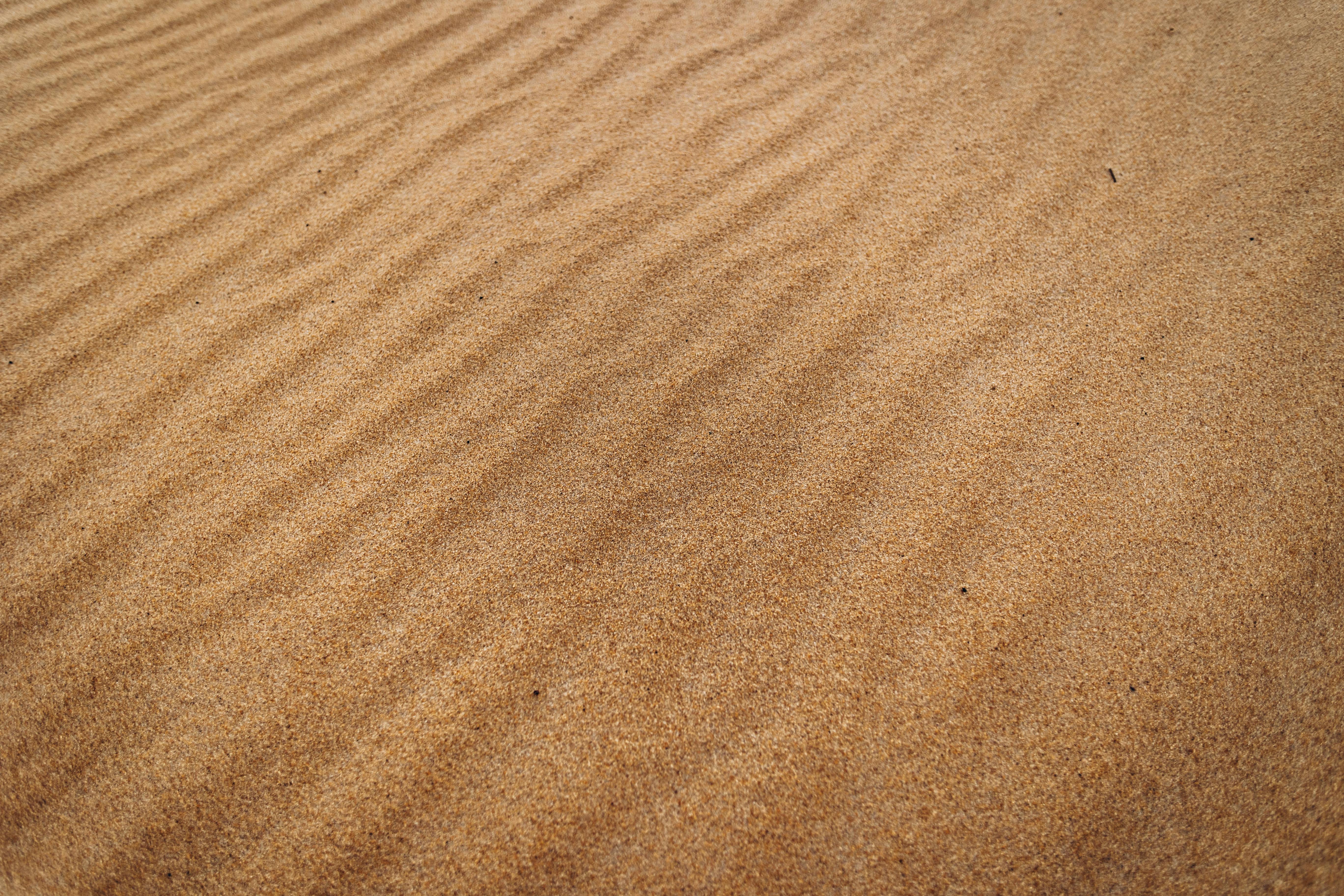 Wrinkles on a Dune · Free Stock Photo