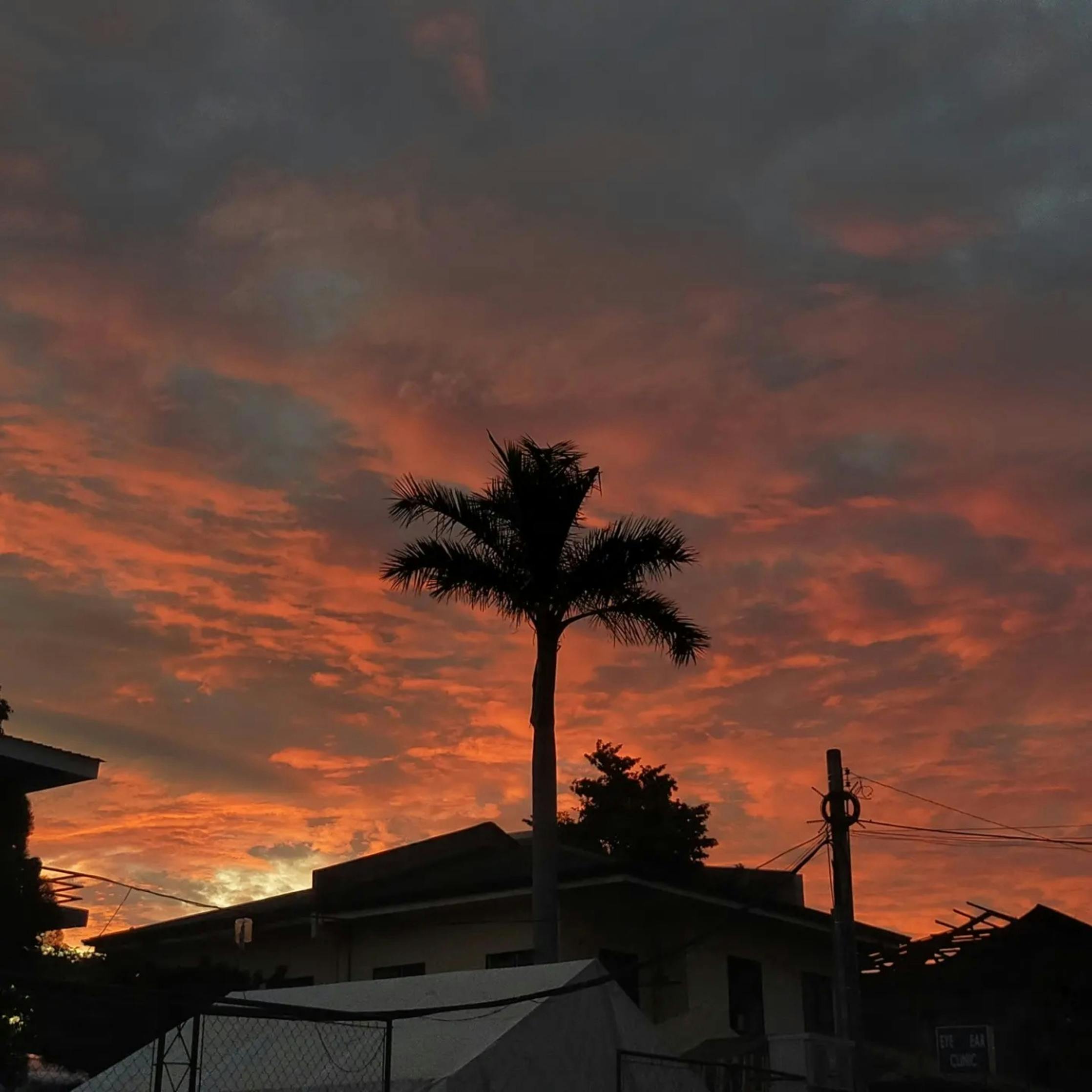 Lebra Llanera - Photography