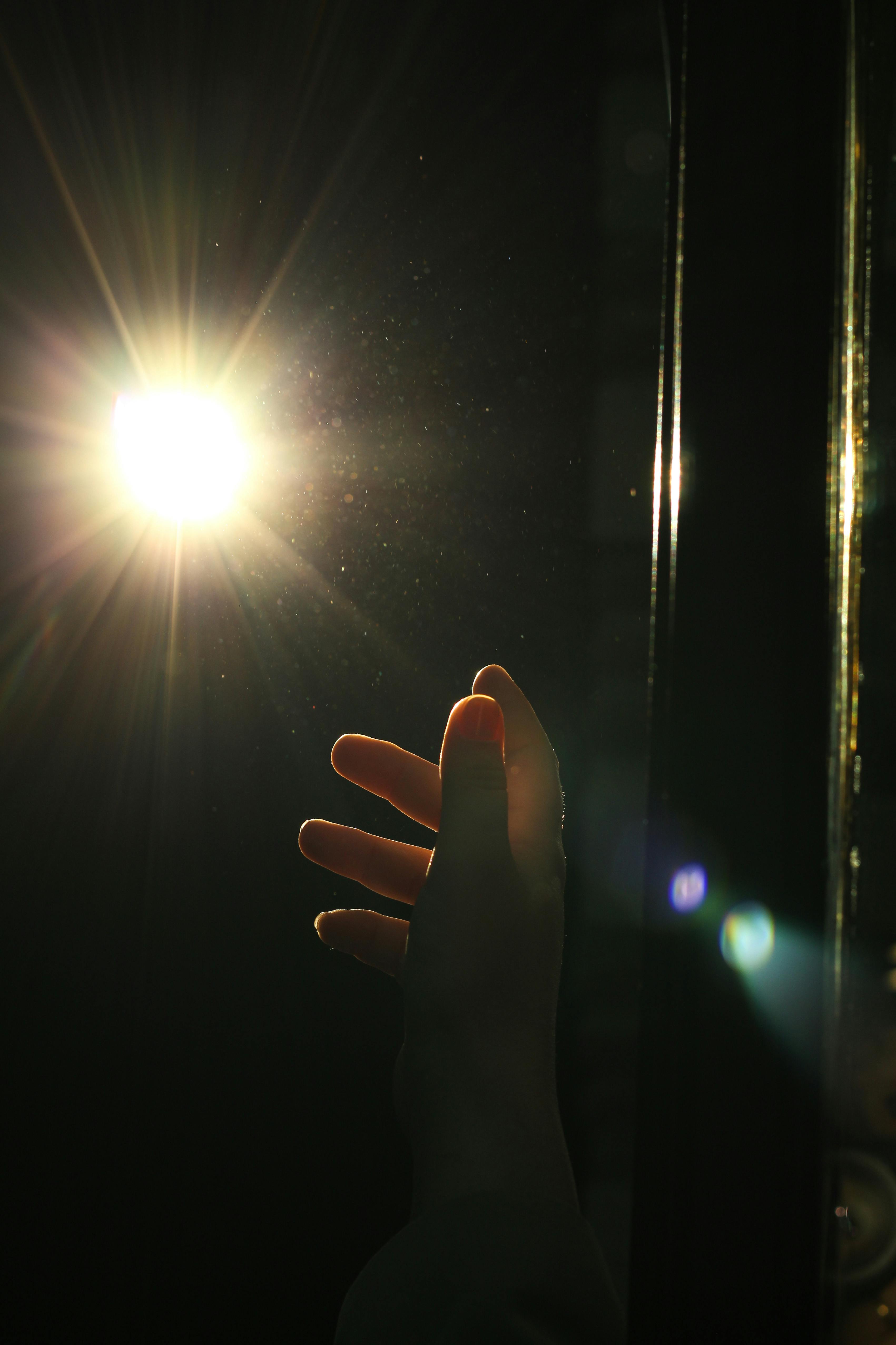 Human Hand in Light · Free Stock Photo