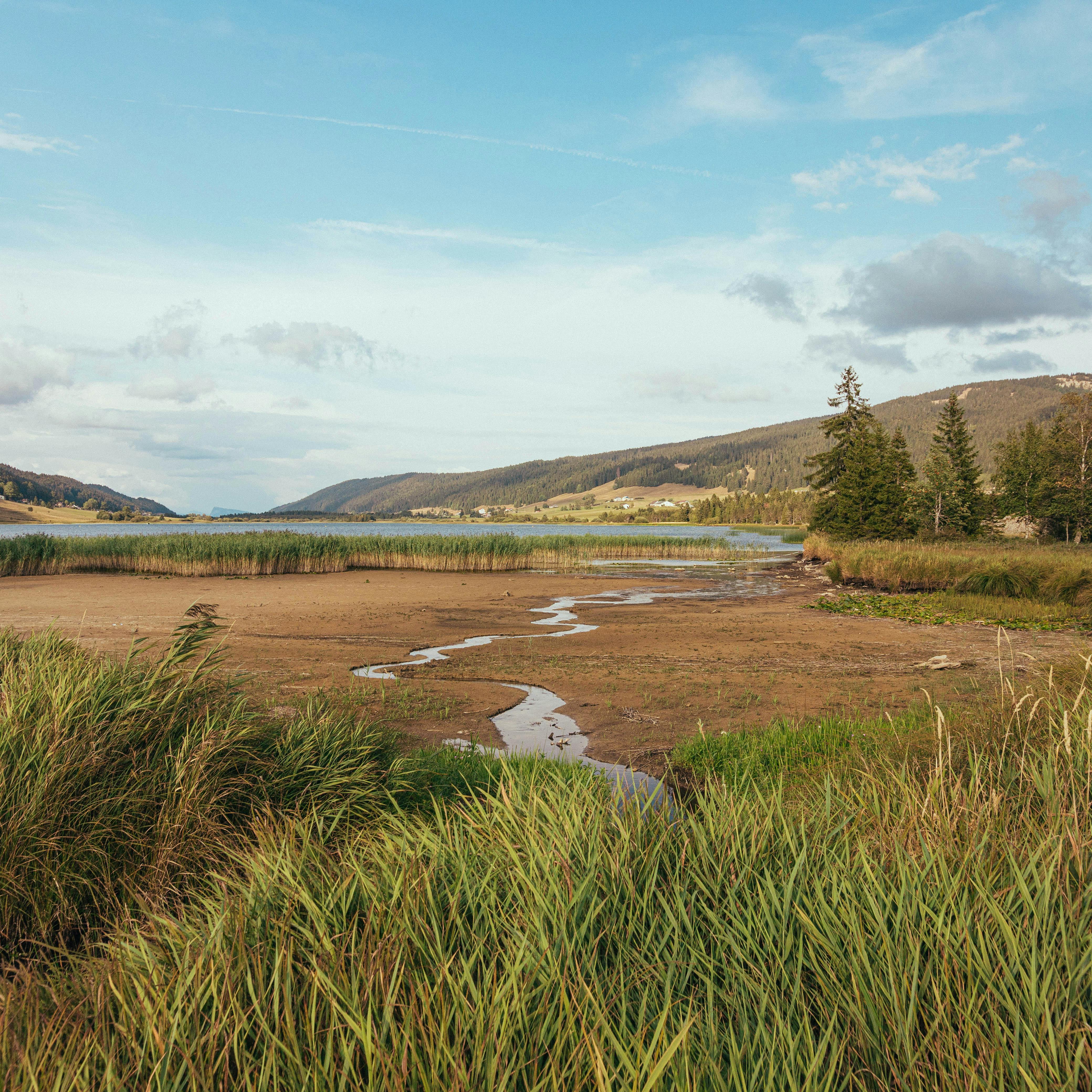 Stream on a Field · Free Stock Photo
