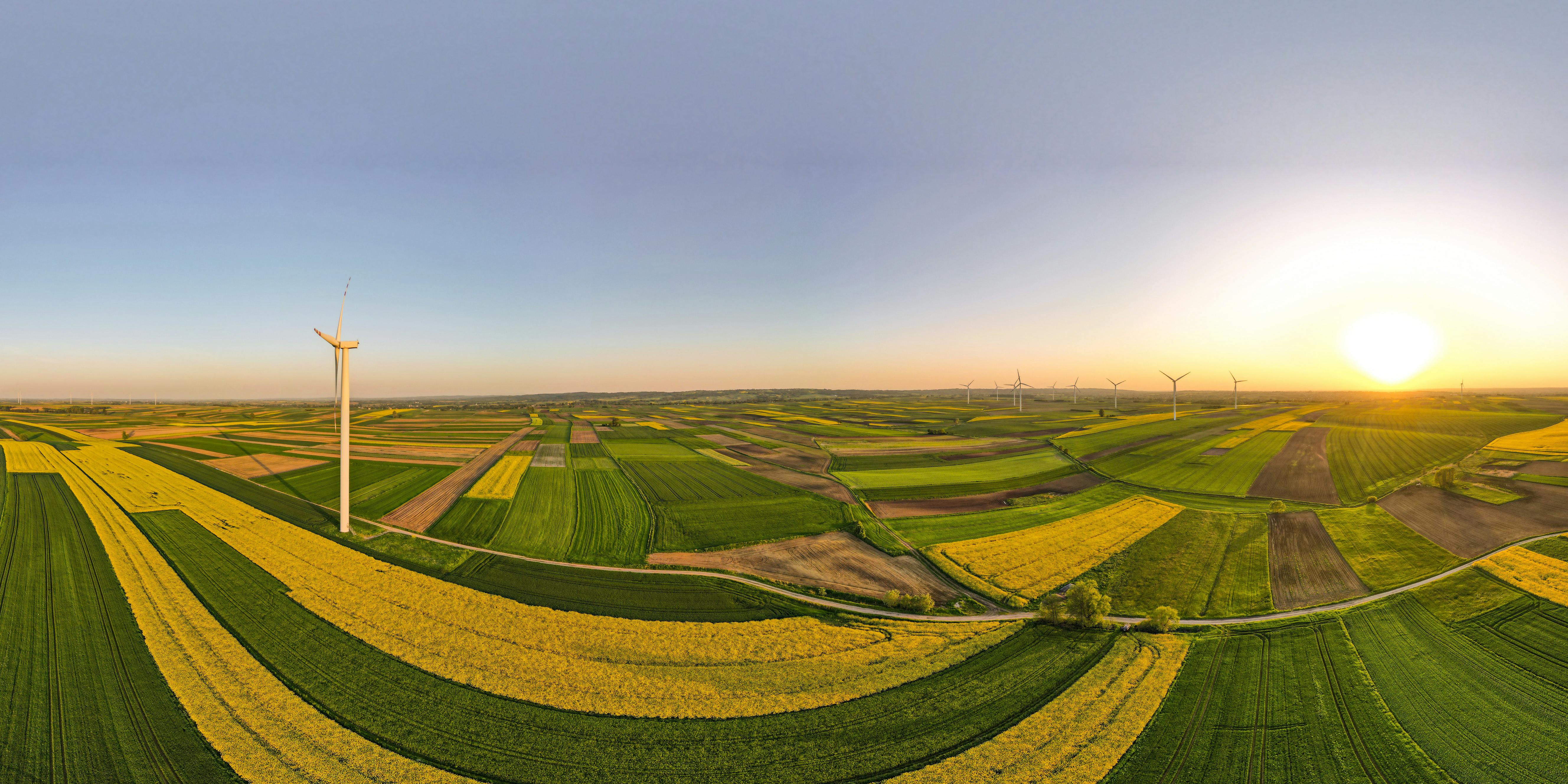Woman Standing in a Field · Free Stock Photo