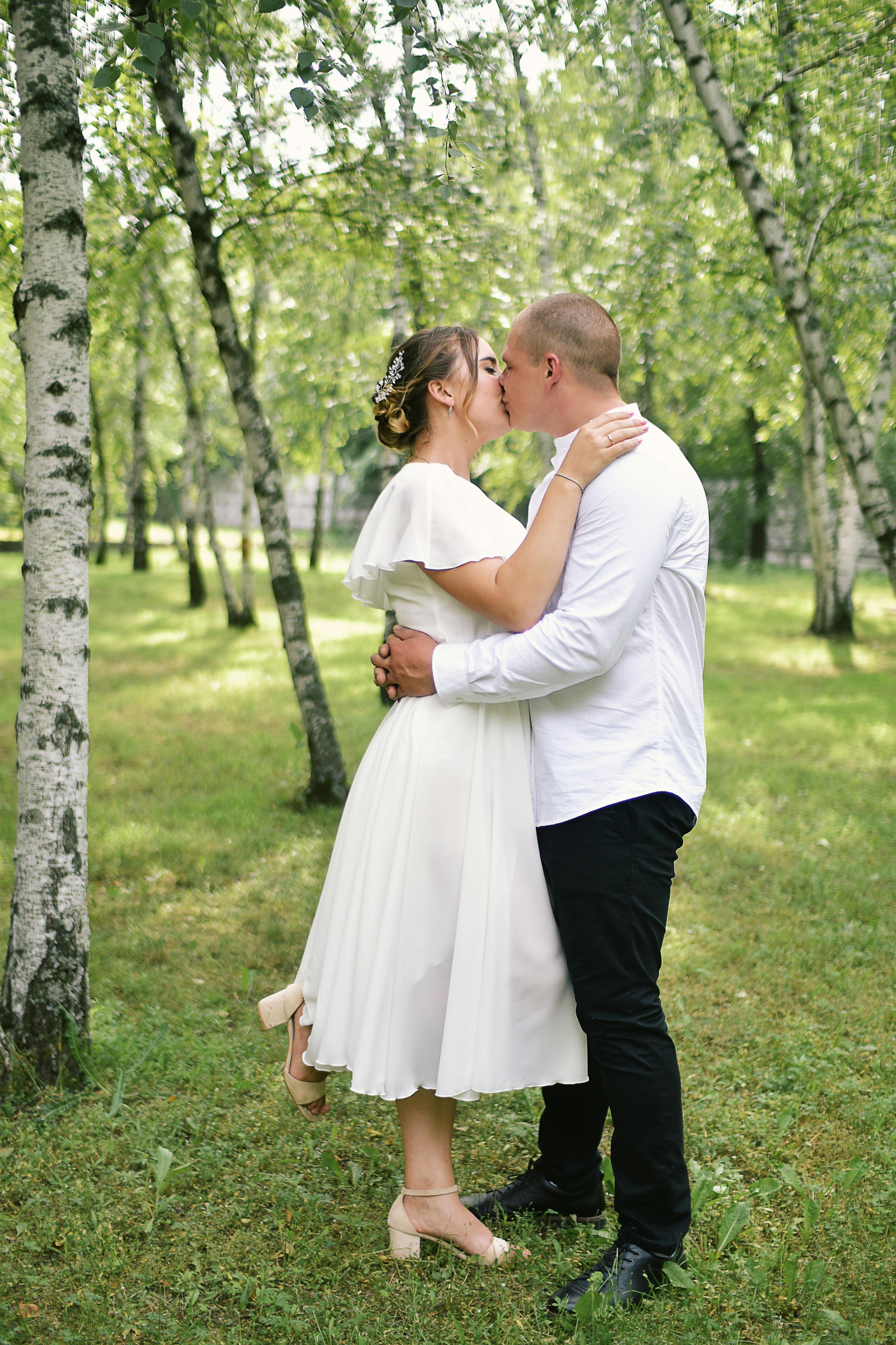 Photo gratuite de affection, amour, arbre, baiser, bouleau, calme ...