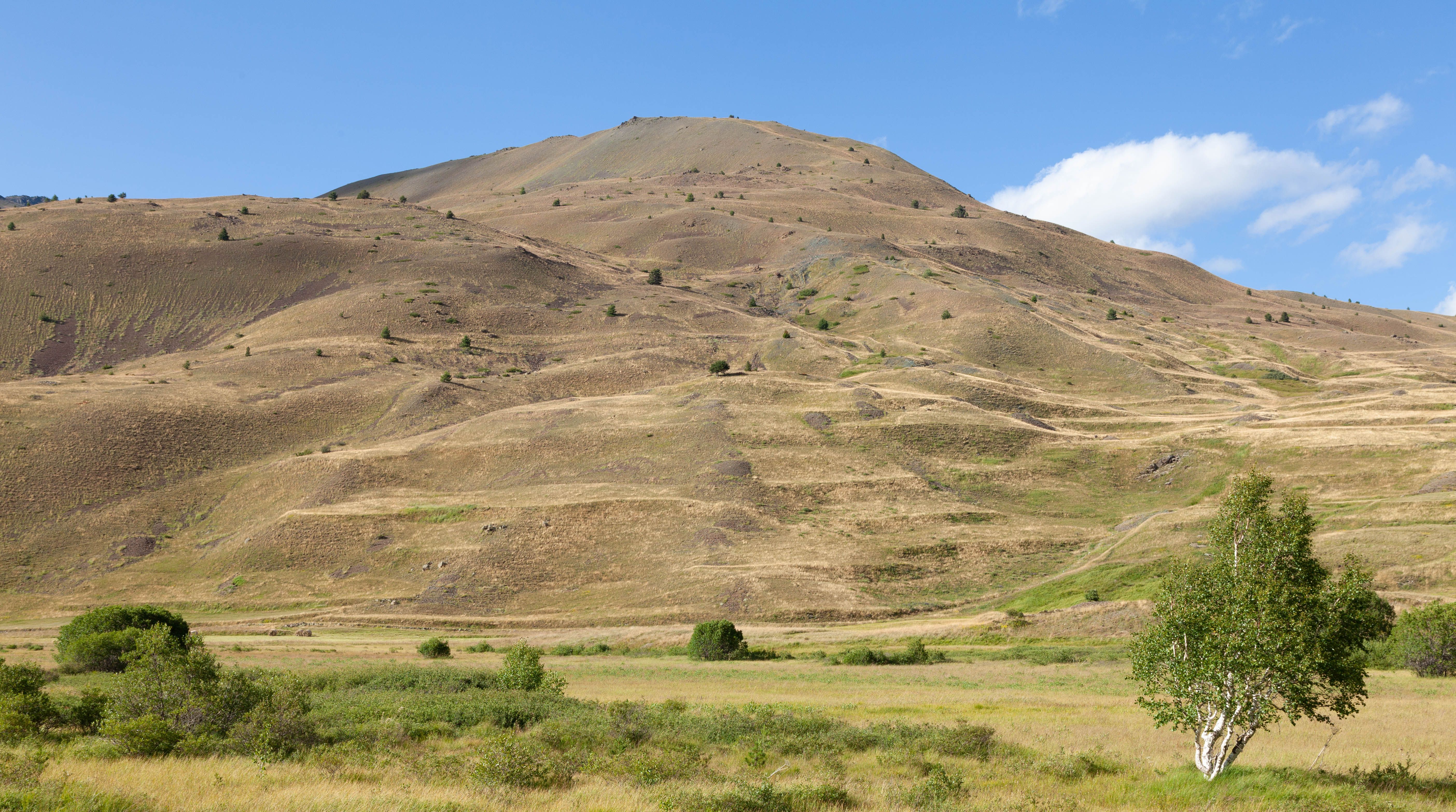 A large hill with trees and grass in the background · Free Stock Photo