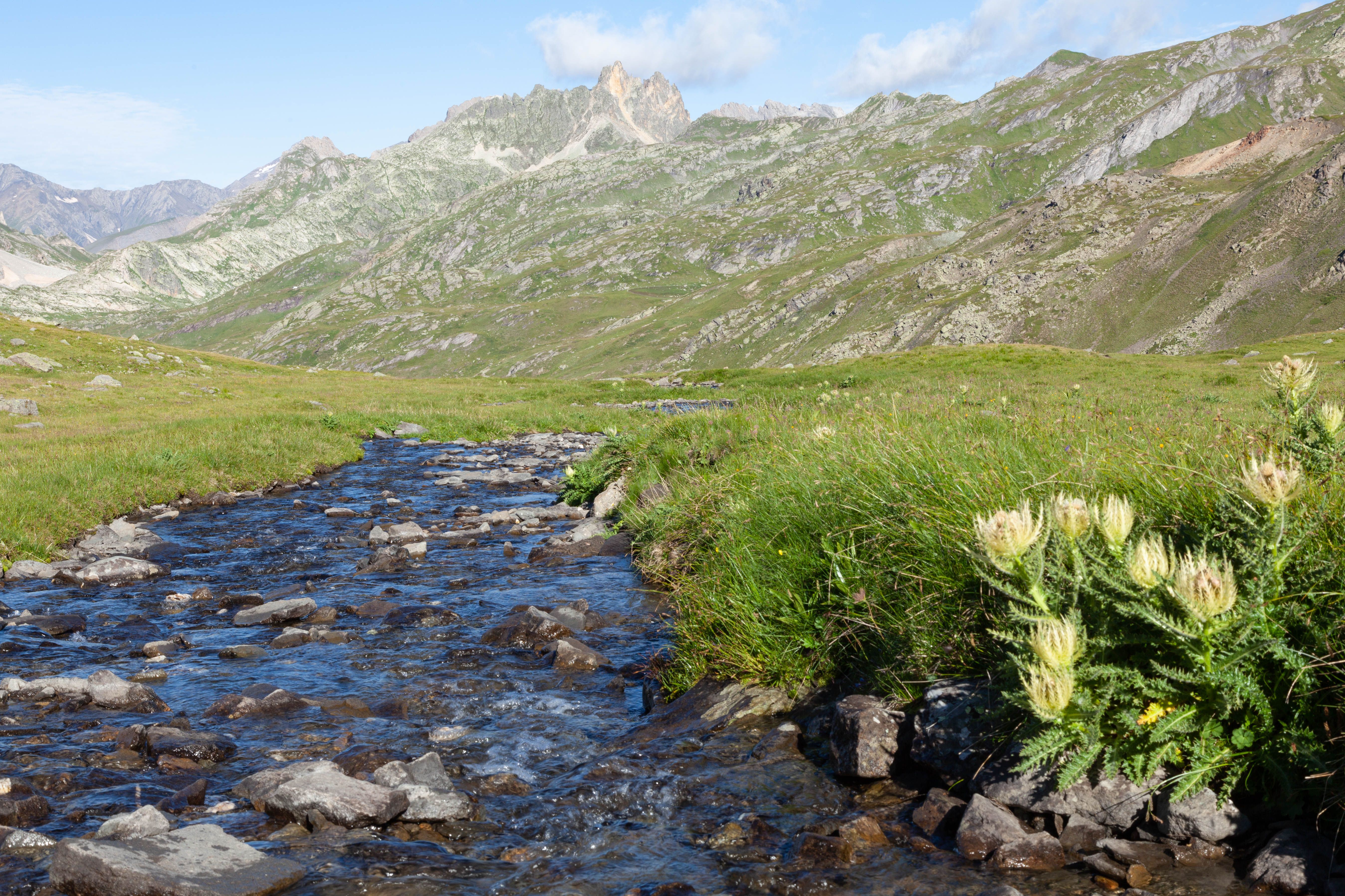 View of a Stream in Mountains · Free Stock Photo