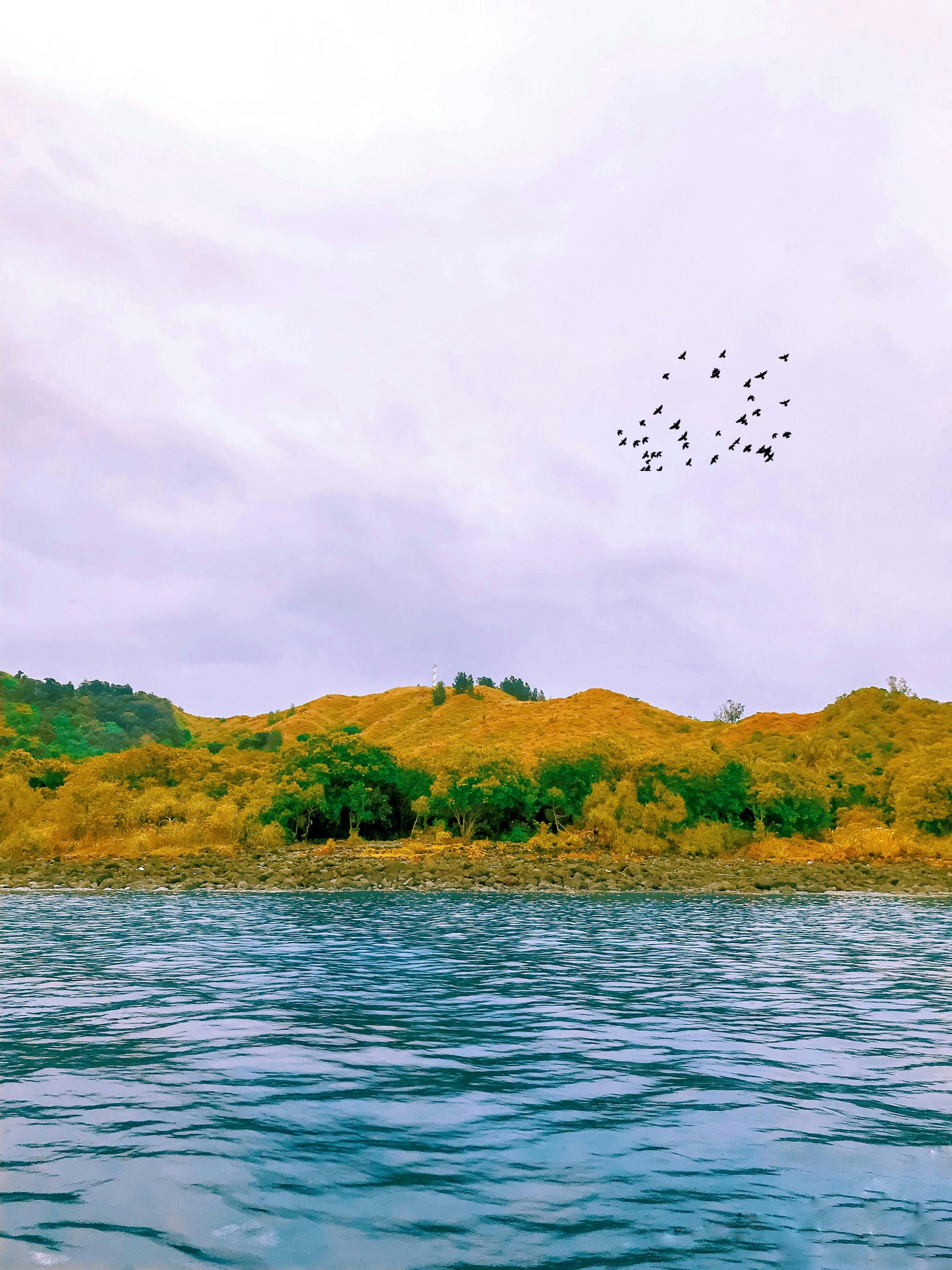 Nashrodin Aratuc - Photography