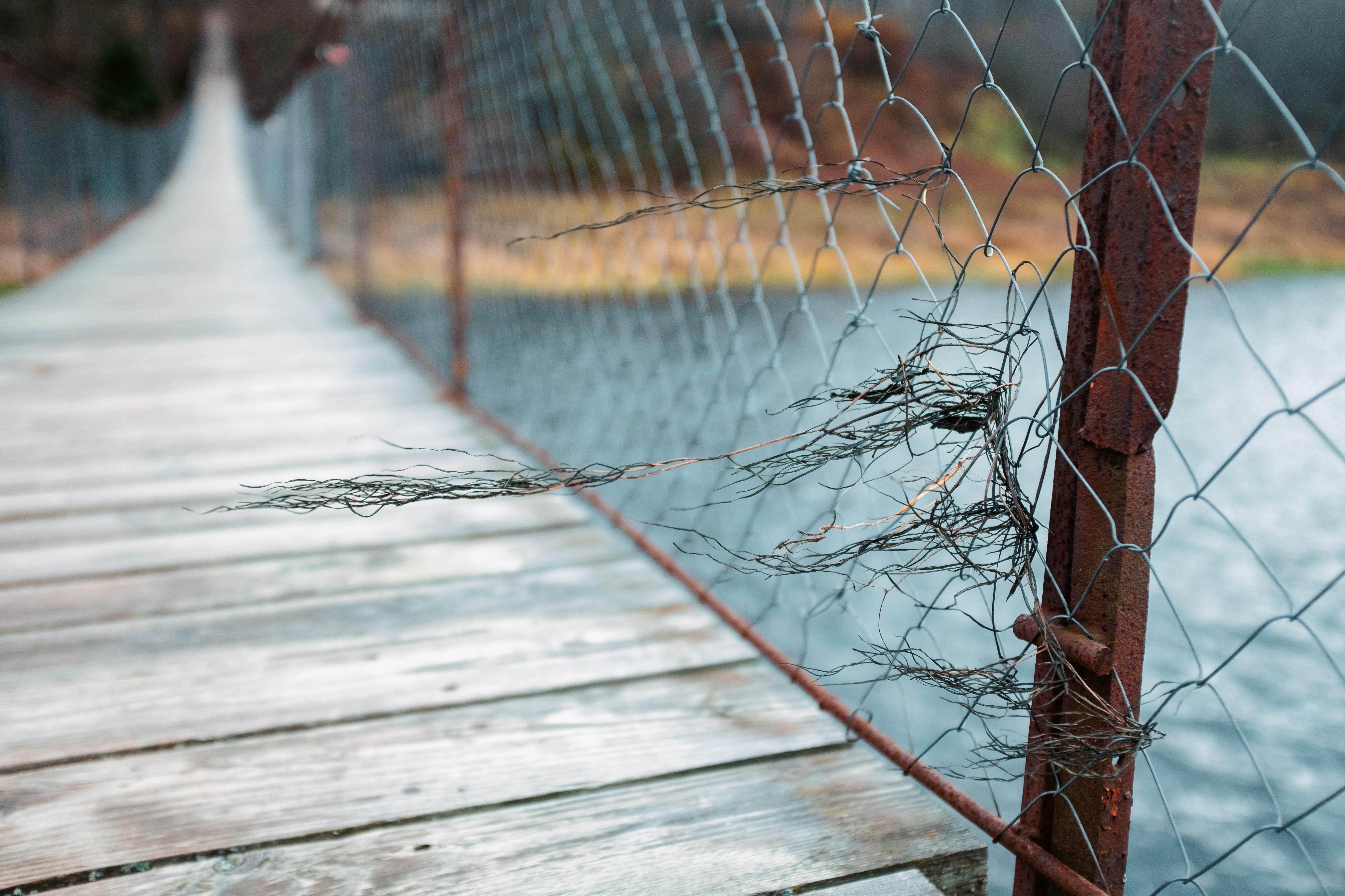 Foto de stock gratuita sobre agua corporal, aguas tranquilas, al aire ...