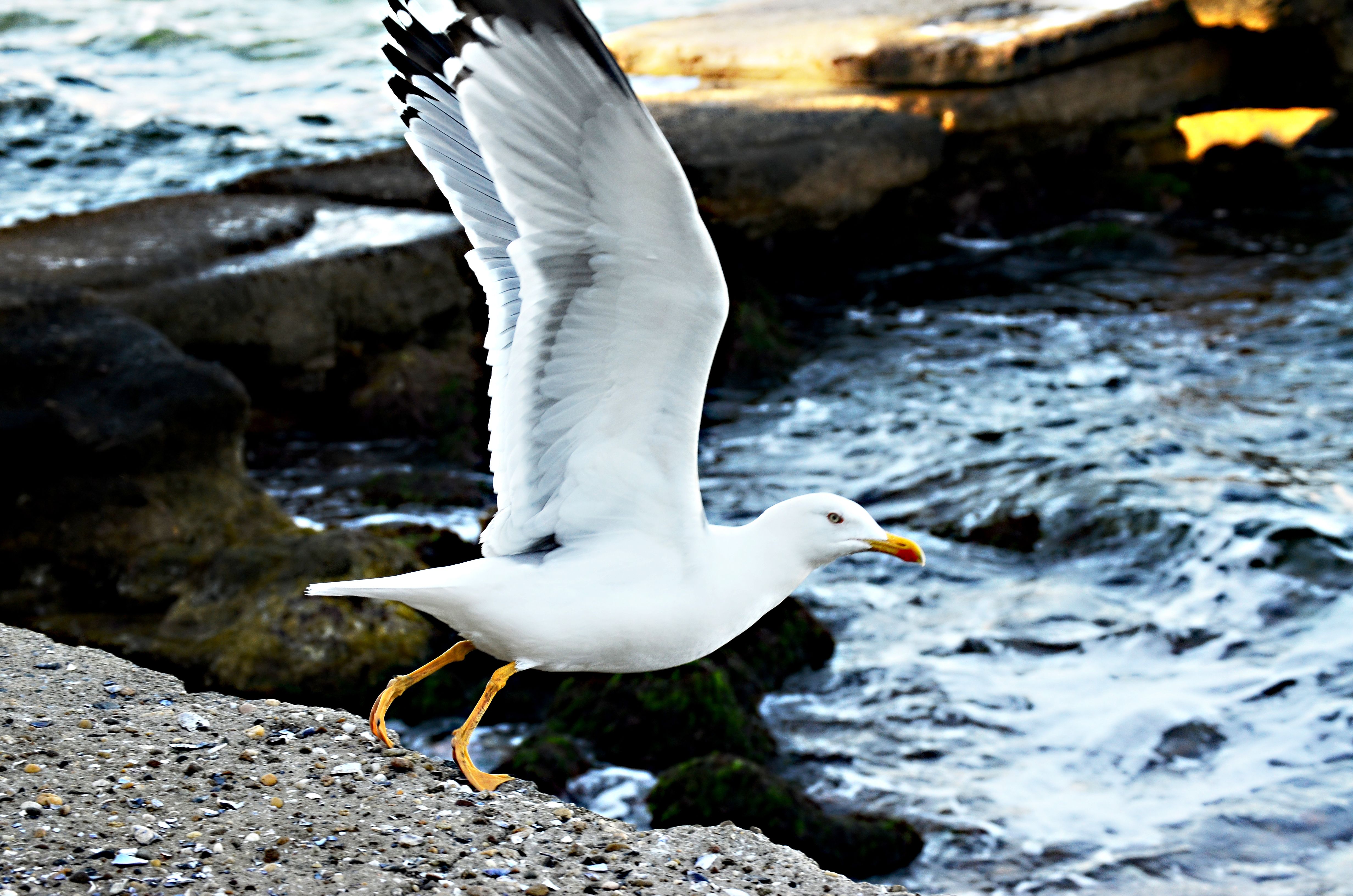 Yalçin Erkol - Photography