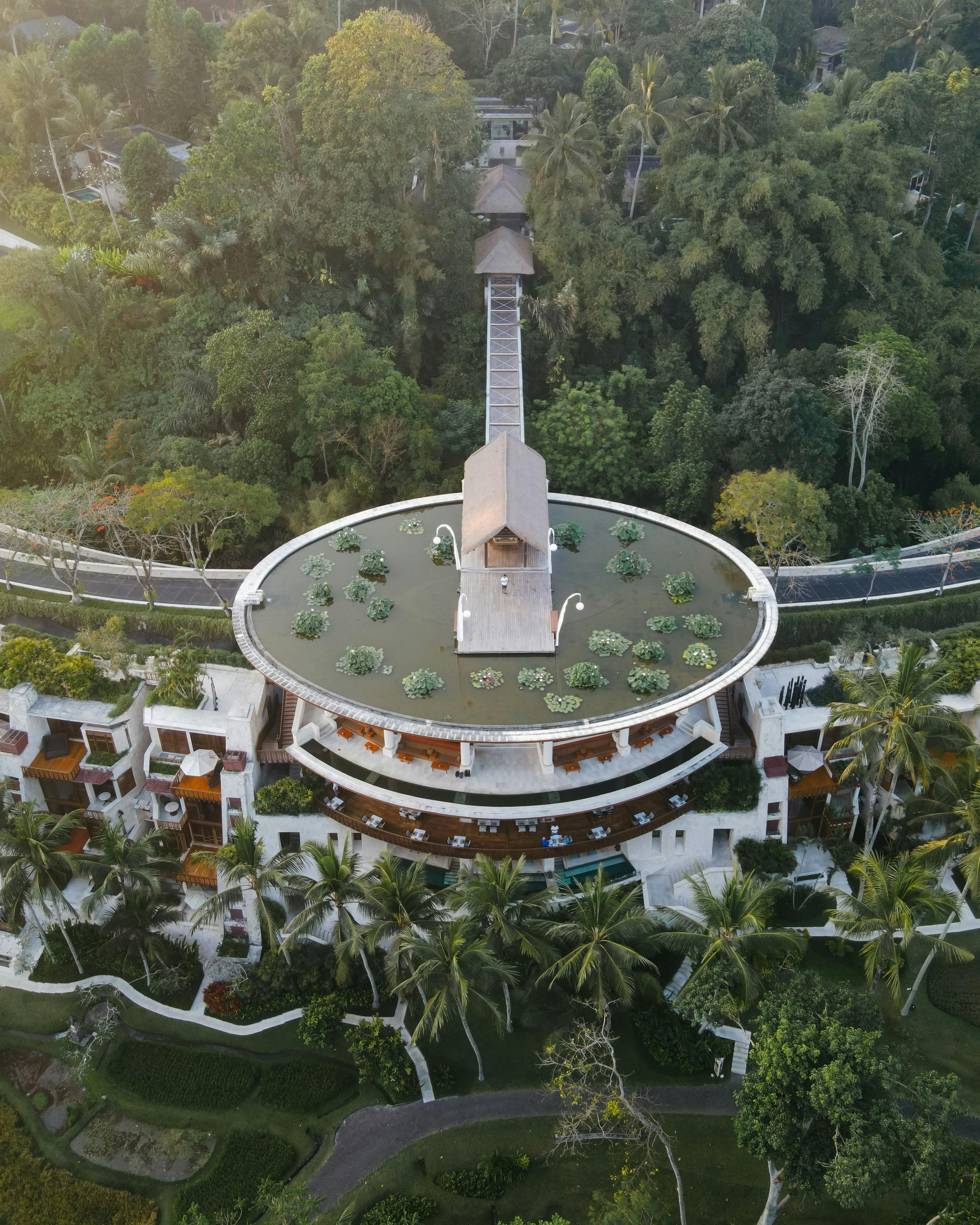 Ubud, Bali Photos, Download The BEST Free Ubud, Bali Stock Photos & HD ...