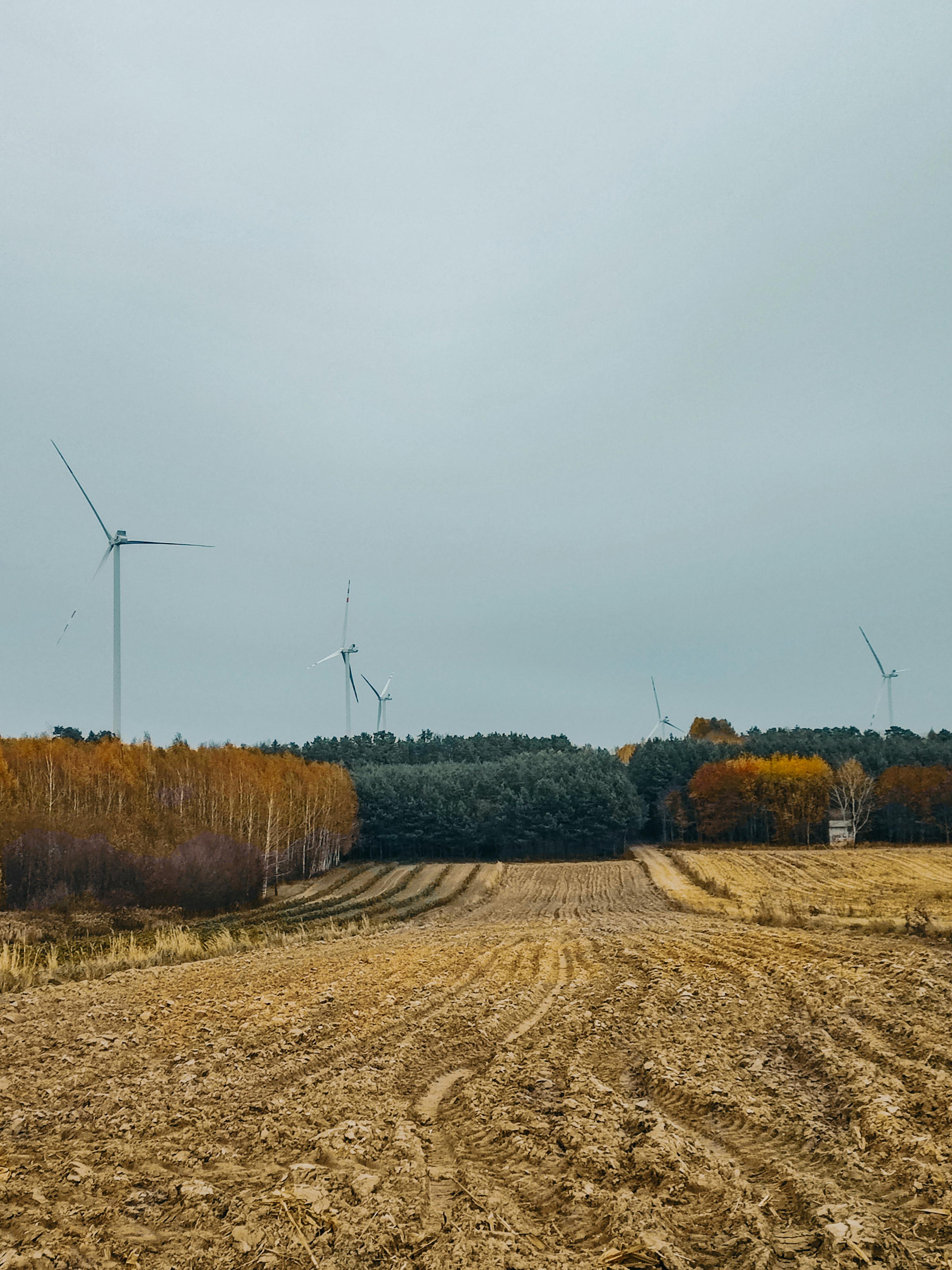 Electricity Goes Out Photos, Download The BEST Free Electricity Goes ...