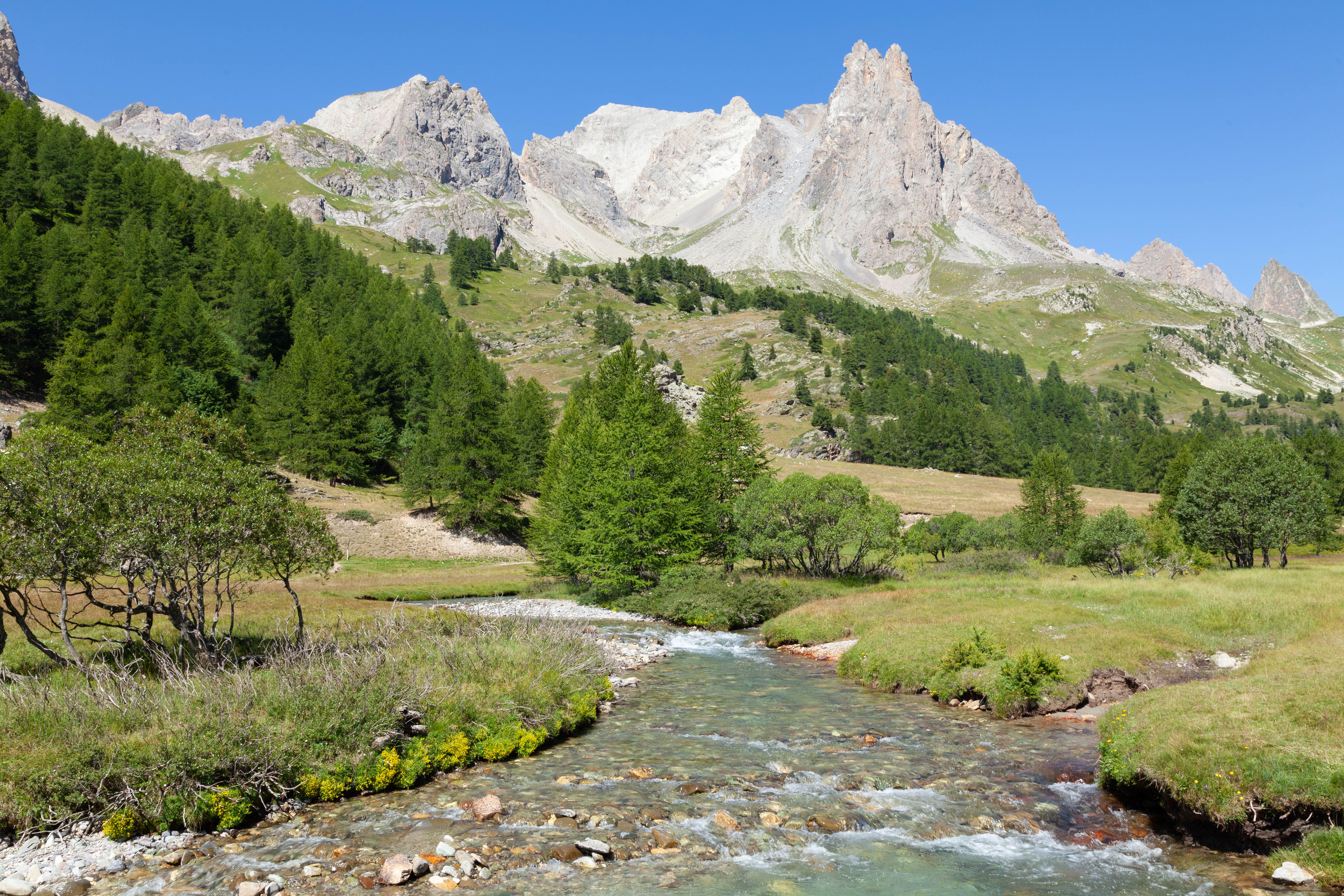 A river flowing through a valley with mountains in the background ...