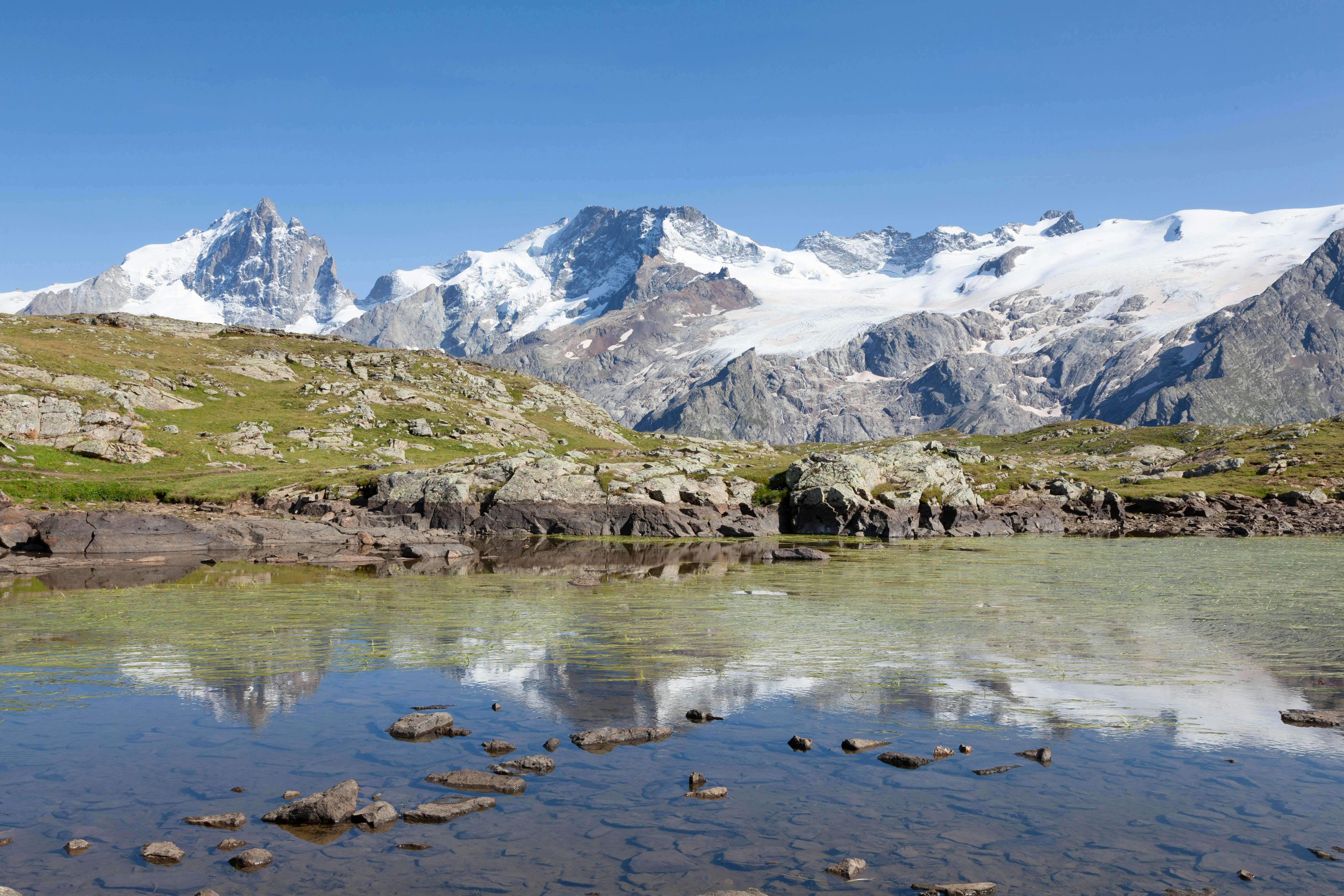 PHILIPPE SERRAND - 사진