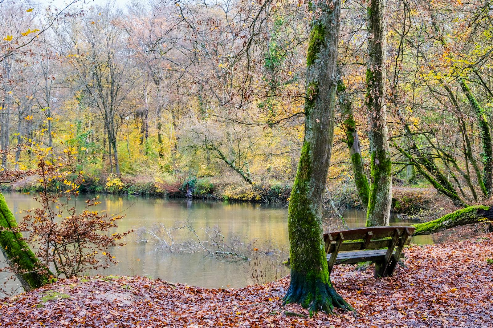 Park Bench Wallpaper Photos, Download The BEST Free Park Bench ...