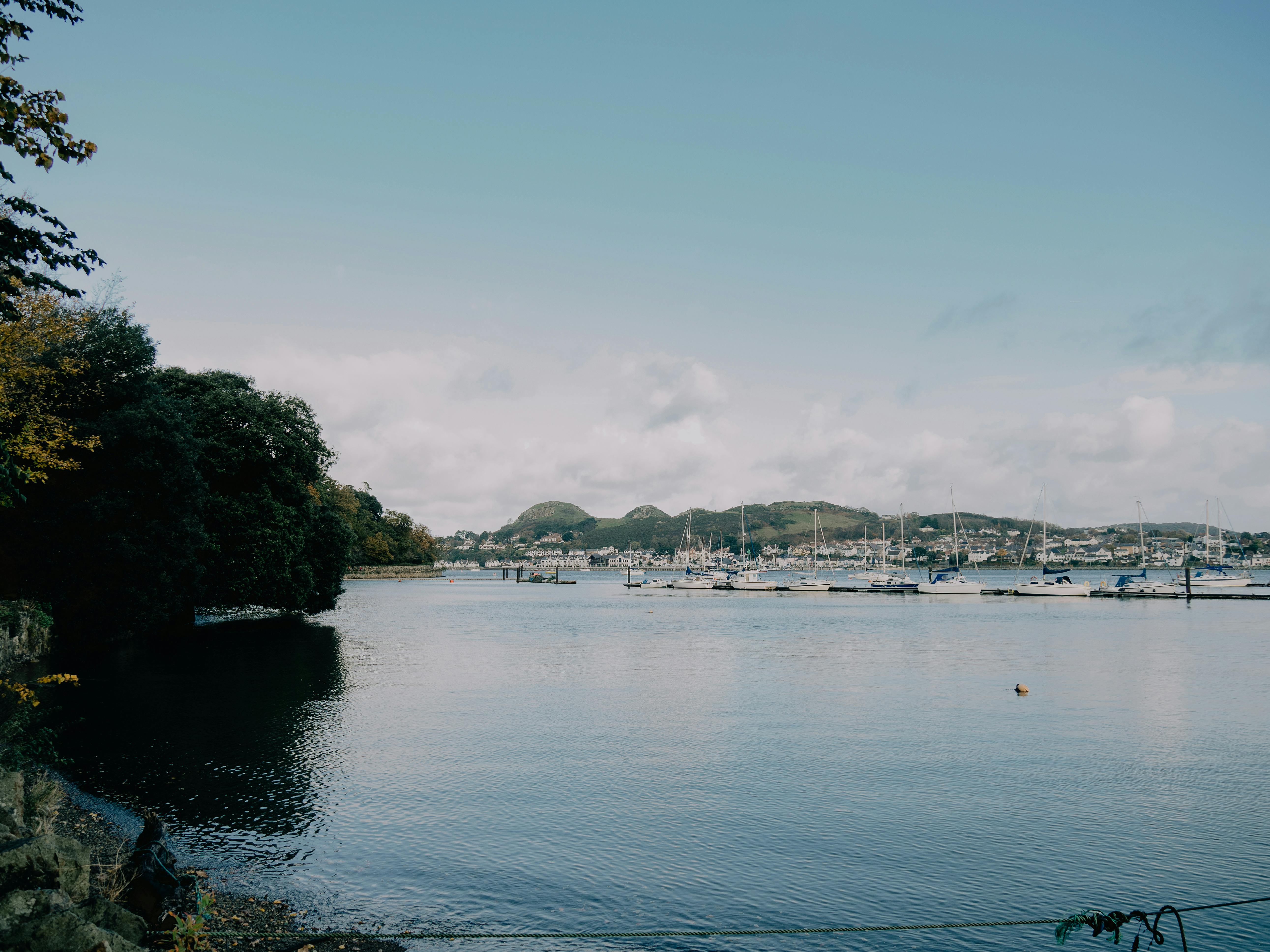 Free stock photo of coast, dock, harbor, harbour, landing, landing ...