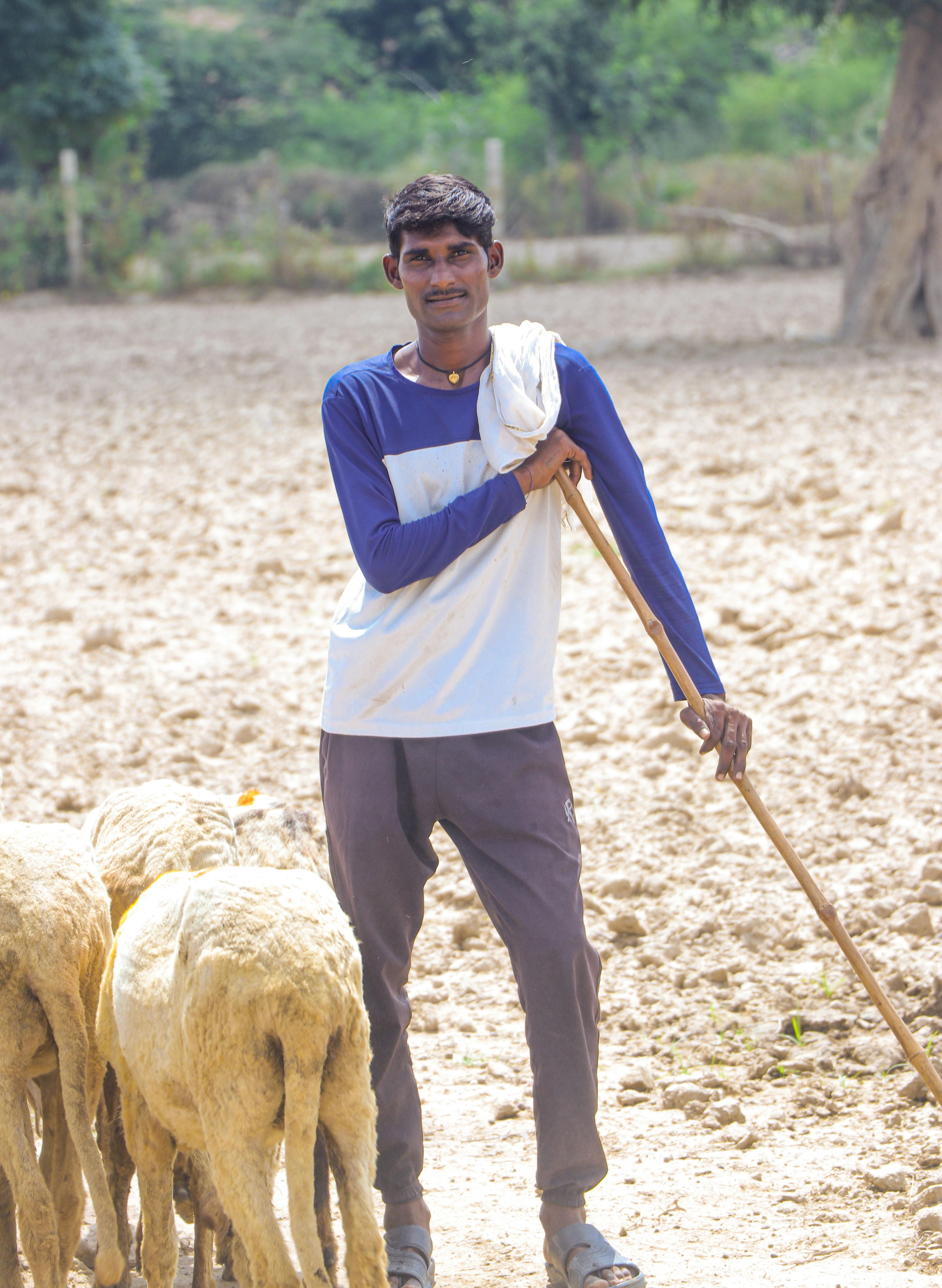 Photo gratuite de adulte, agriculture, agriculture traditionnelle ...
