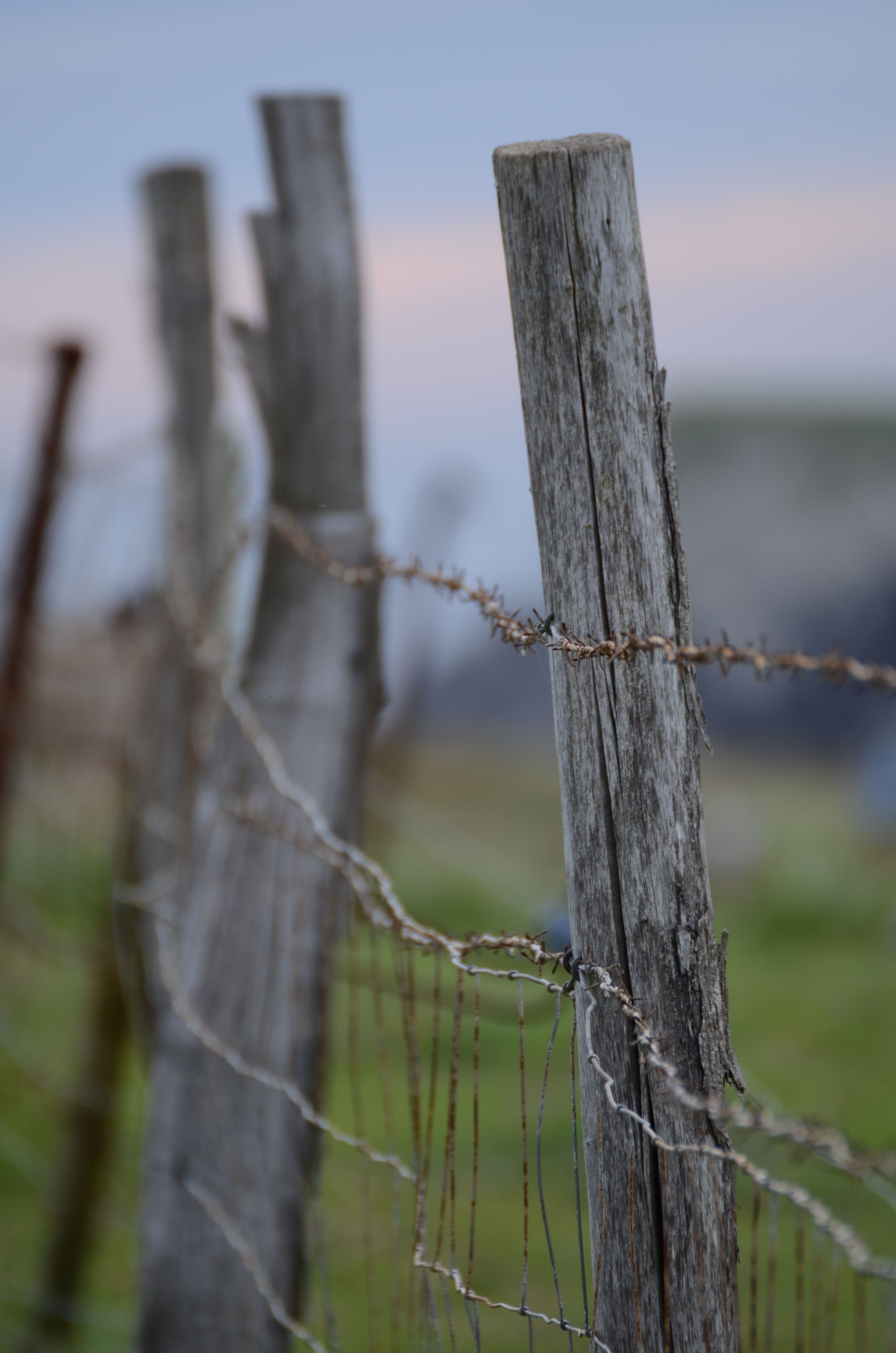 Old Fence Pasture Photos, Download The BEST Free Old Fence Pasture ...