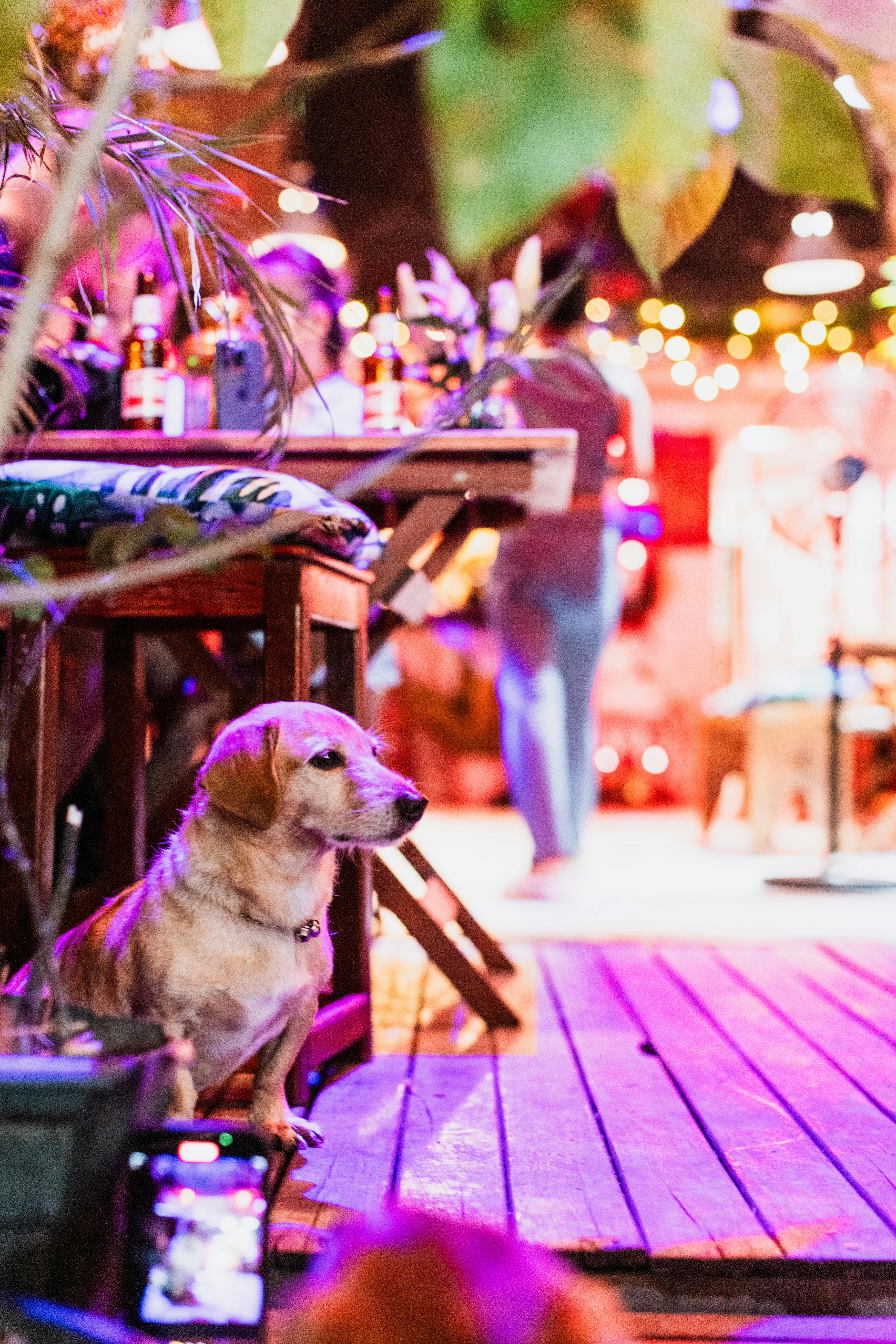 Anime Hostel Photos, Download The BEST Free Anime Hostel Stock Photos ...