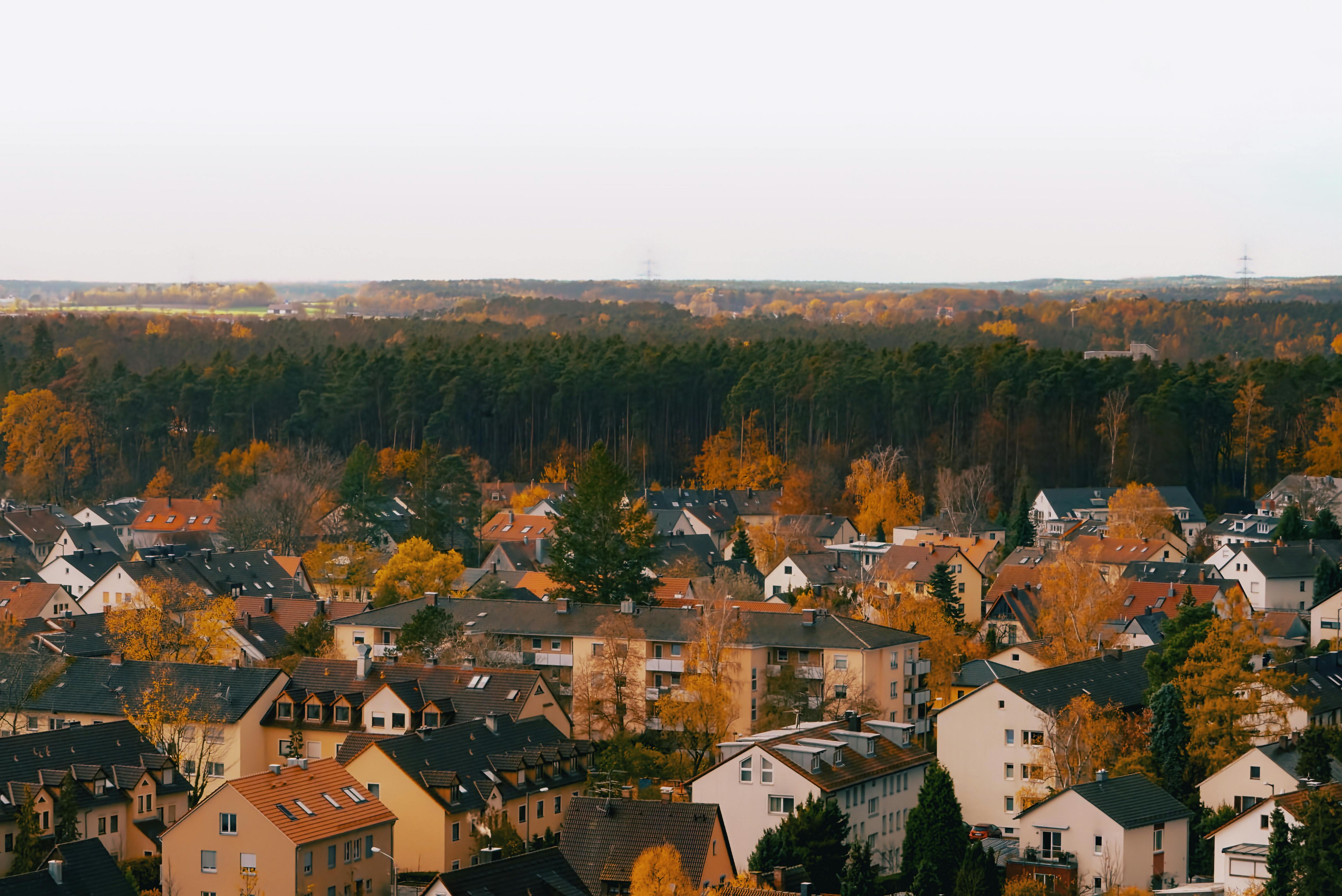 Forest Town Photos, Download The BEST Free Forest Town Stock Photos ...