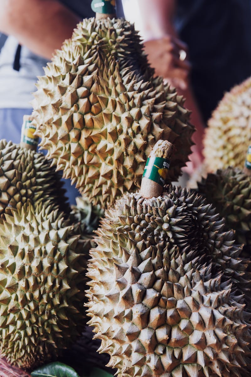 Durian Davao Photos, Download The BEST Free Durian Davao Stock Photos ...