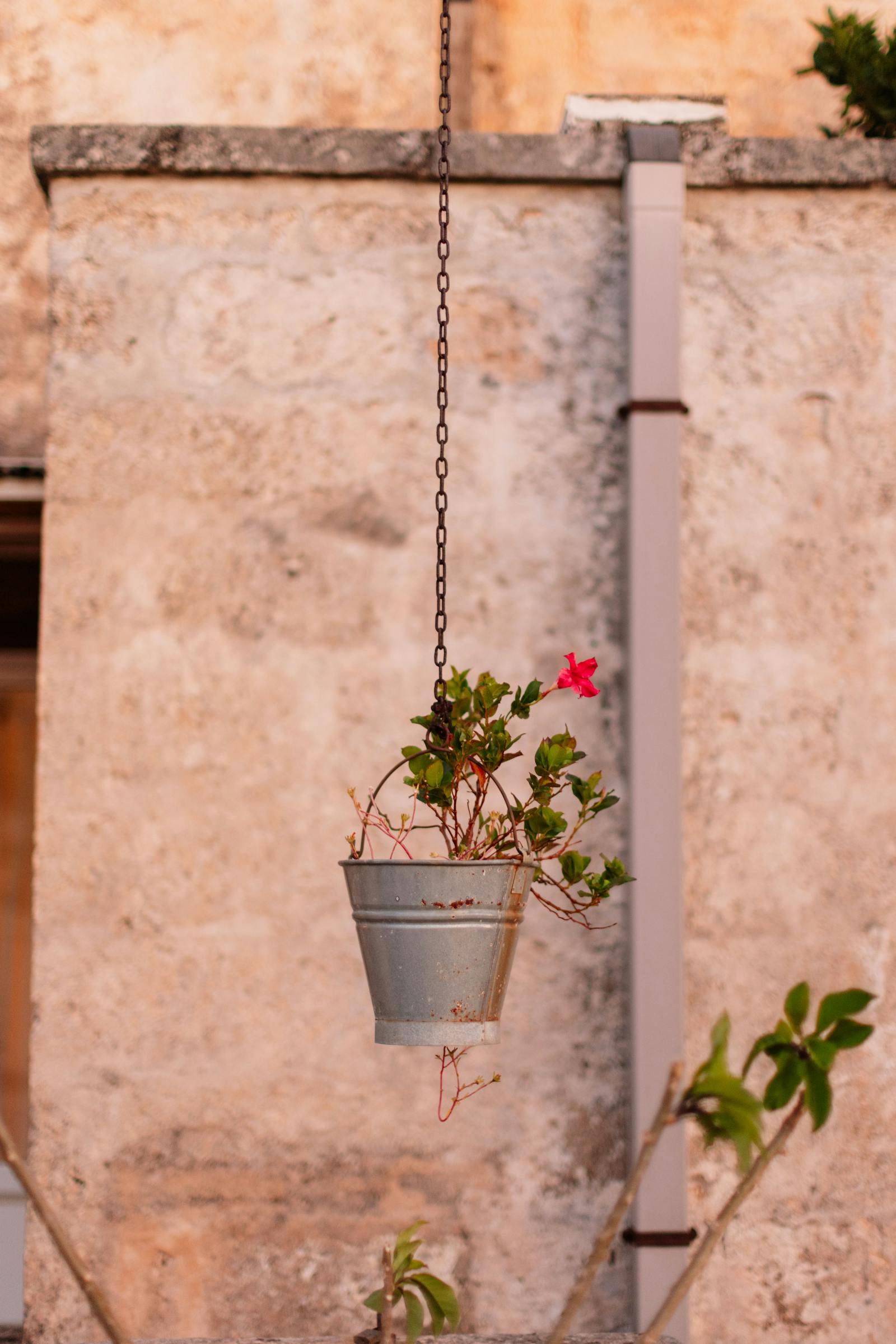 Flowers Chain Photos, Download The BEST Free Flowers Chain Stock Photos ...