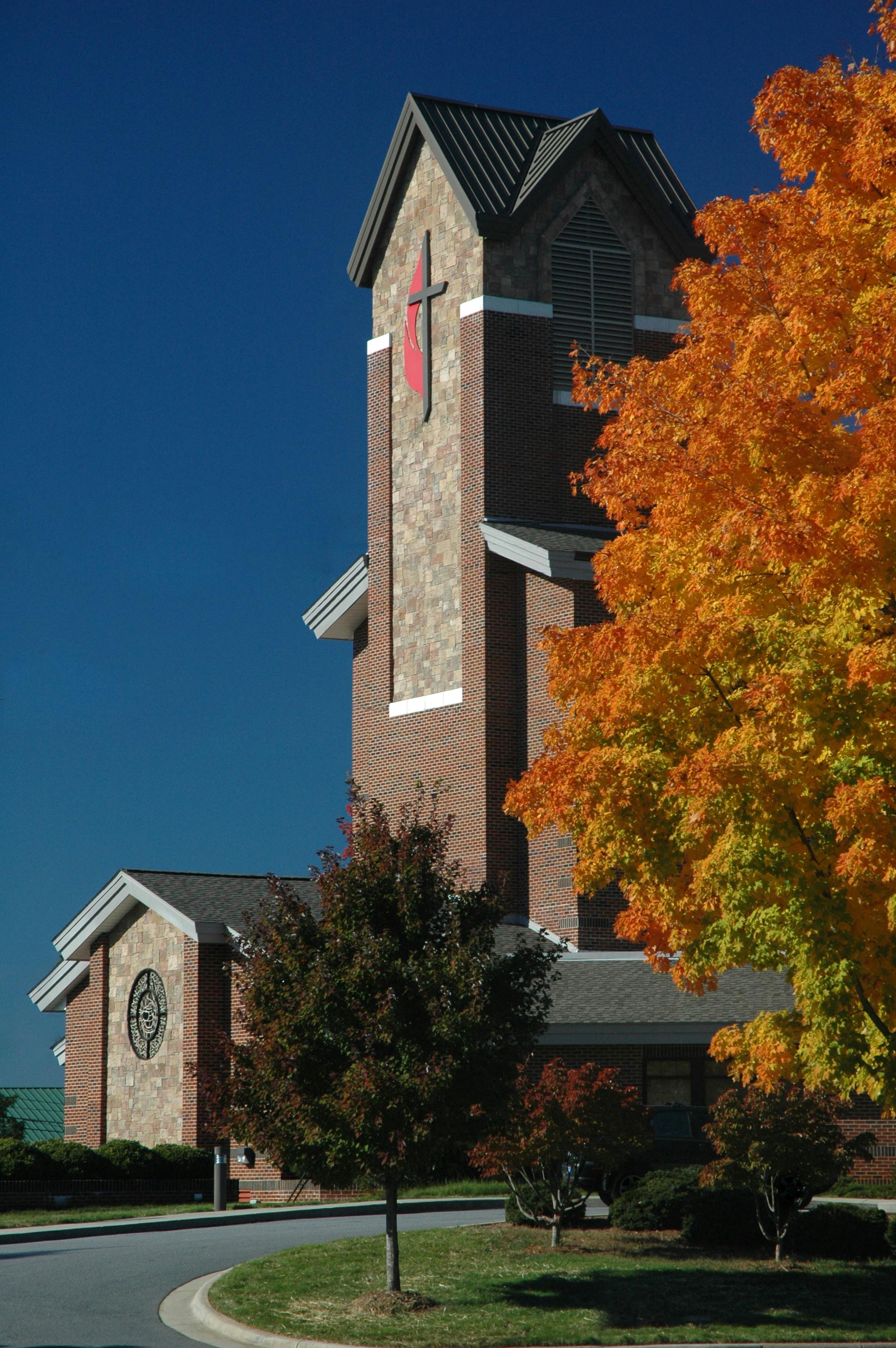 Lynn Nash - Photography