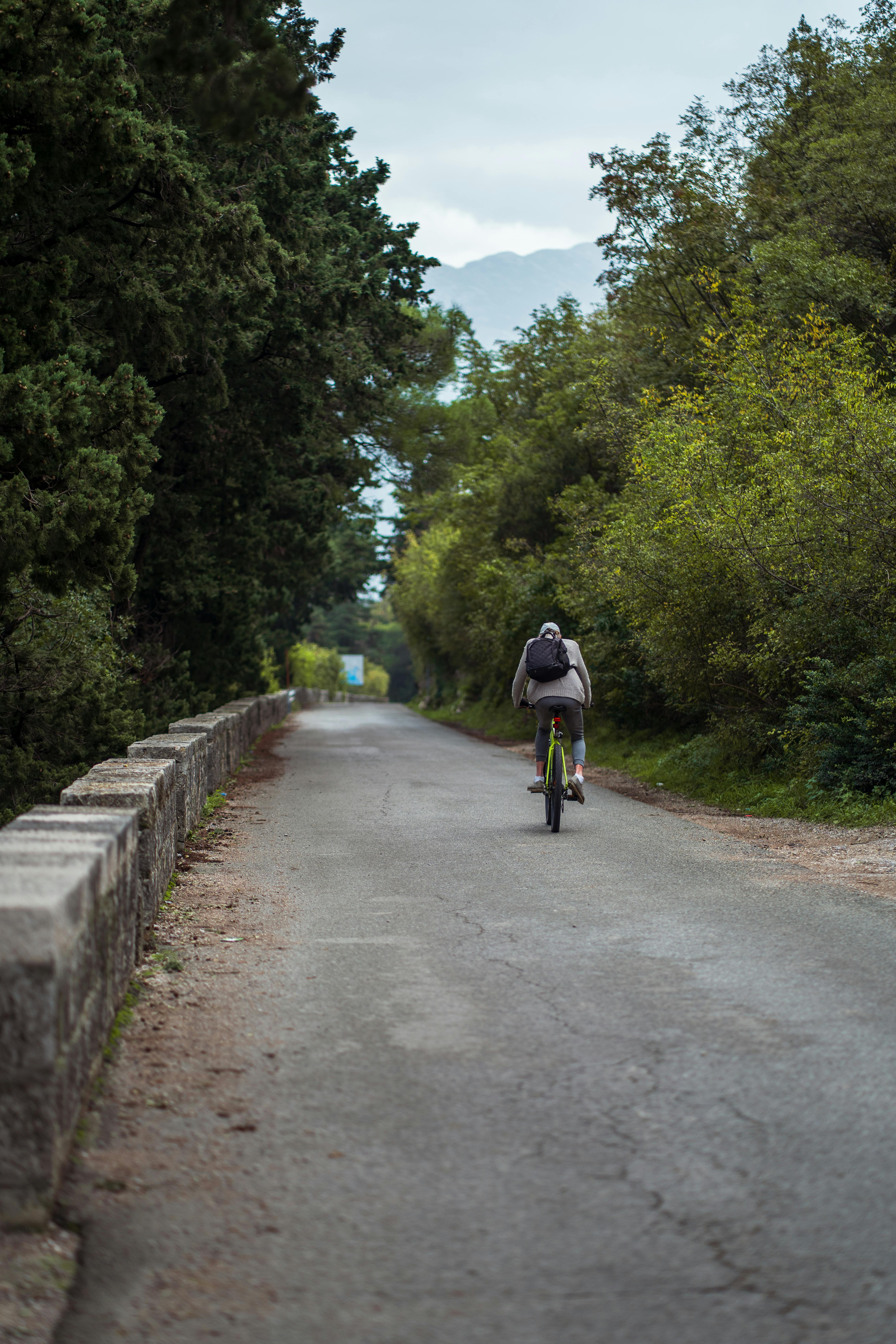 Man Riding on Bike on Path Among Trees · Free Stock Photo
