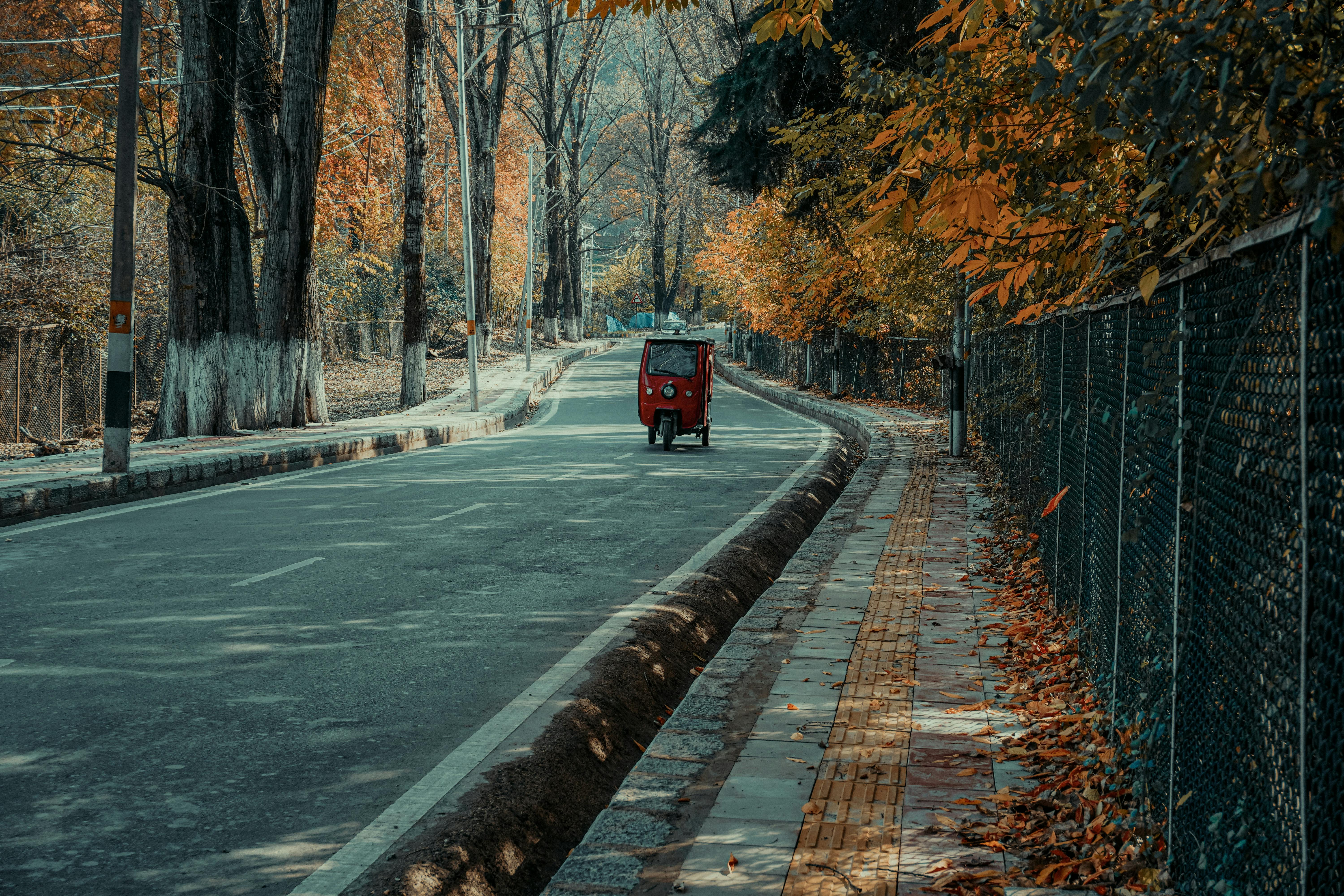 Auto Rickshaw on Road in Autumn · Free Stock Photo