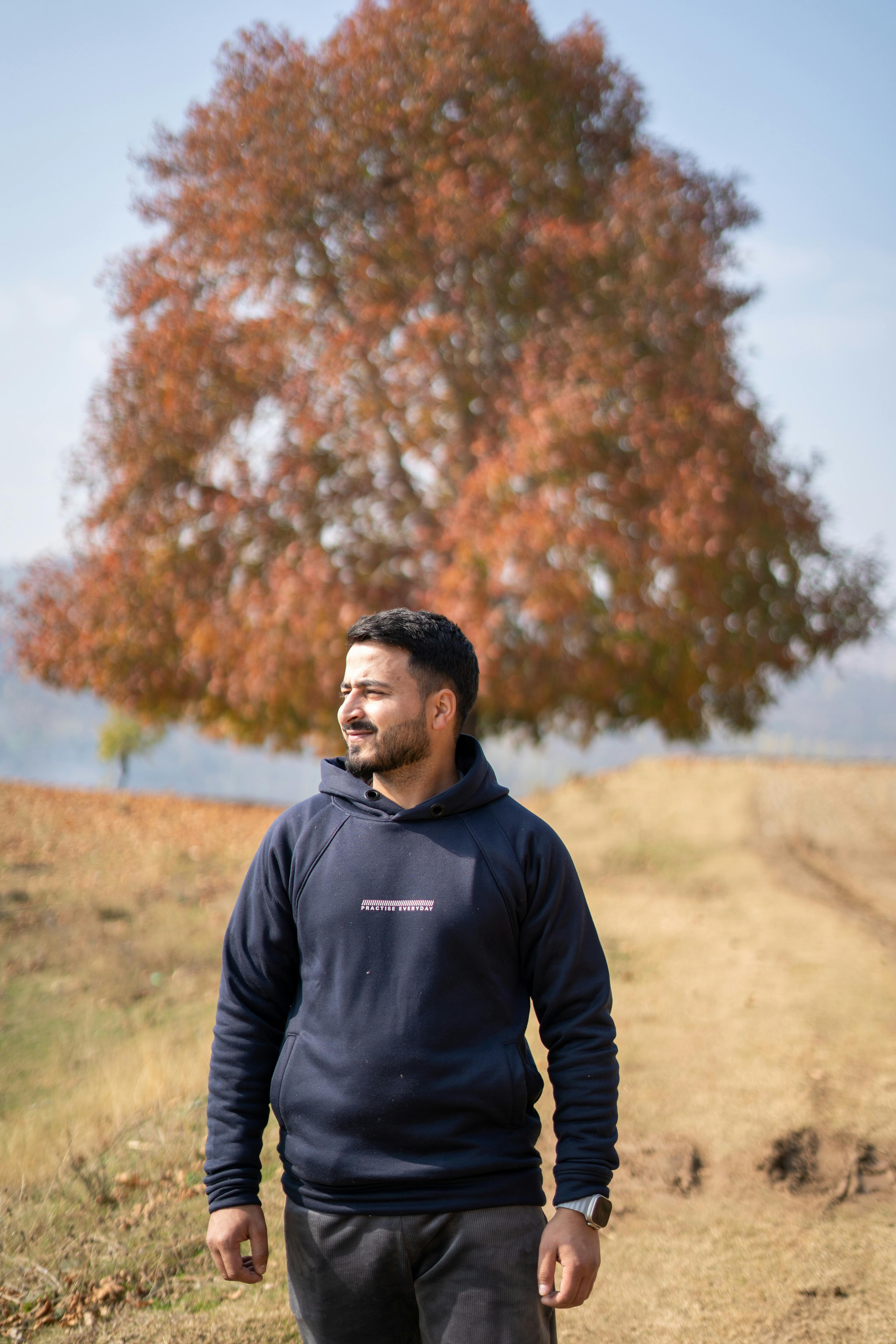 Chinar Tree Leaf 4k Photos, Download The BEST Free Chinar Tree Leaf 4k ...