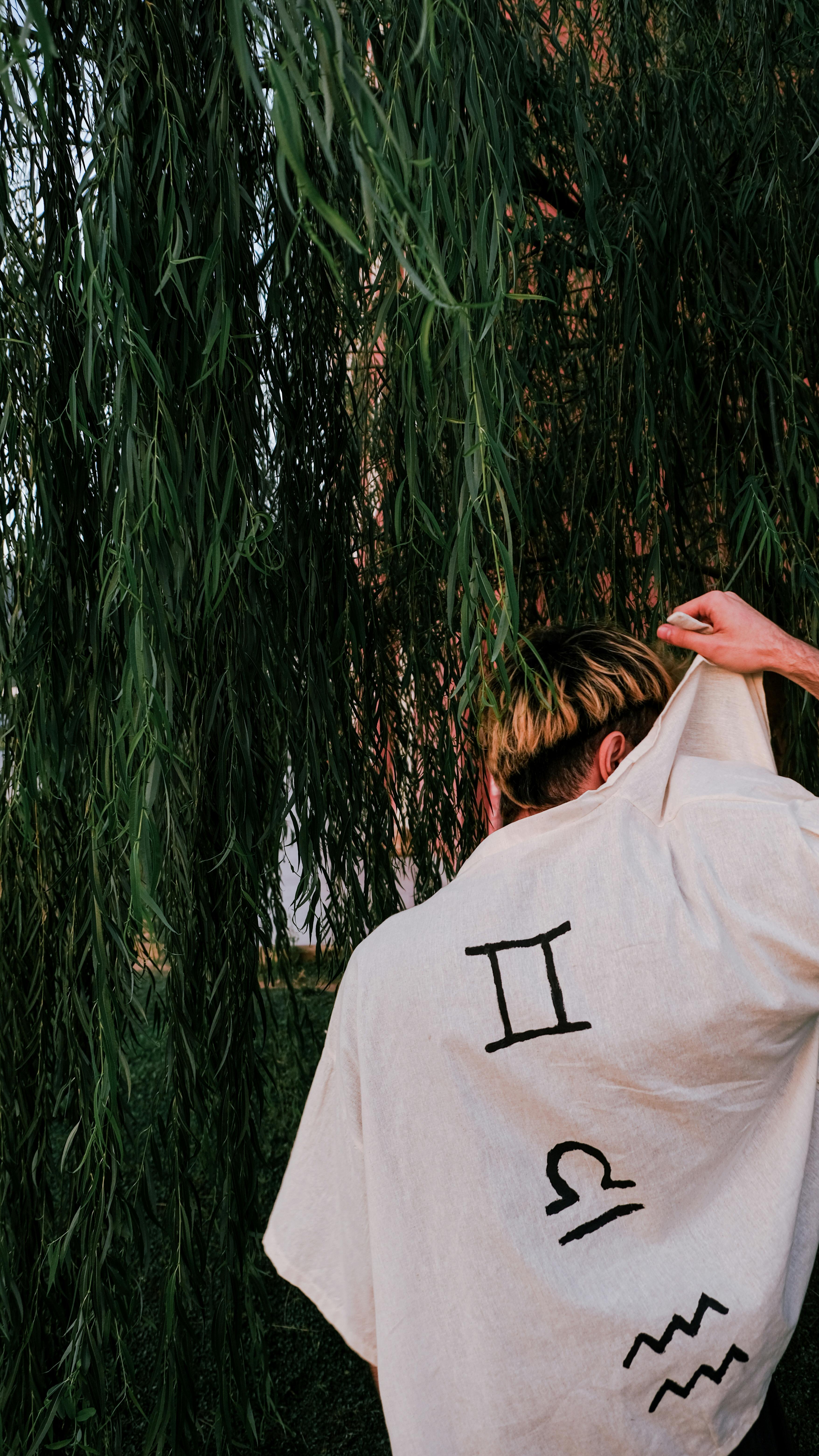 Zodiac Sign Gemini Photos, Download The BEST Free Zodiac Sign Gemini ...