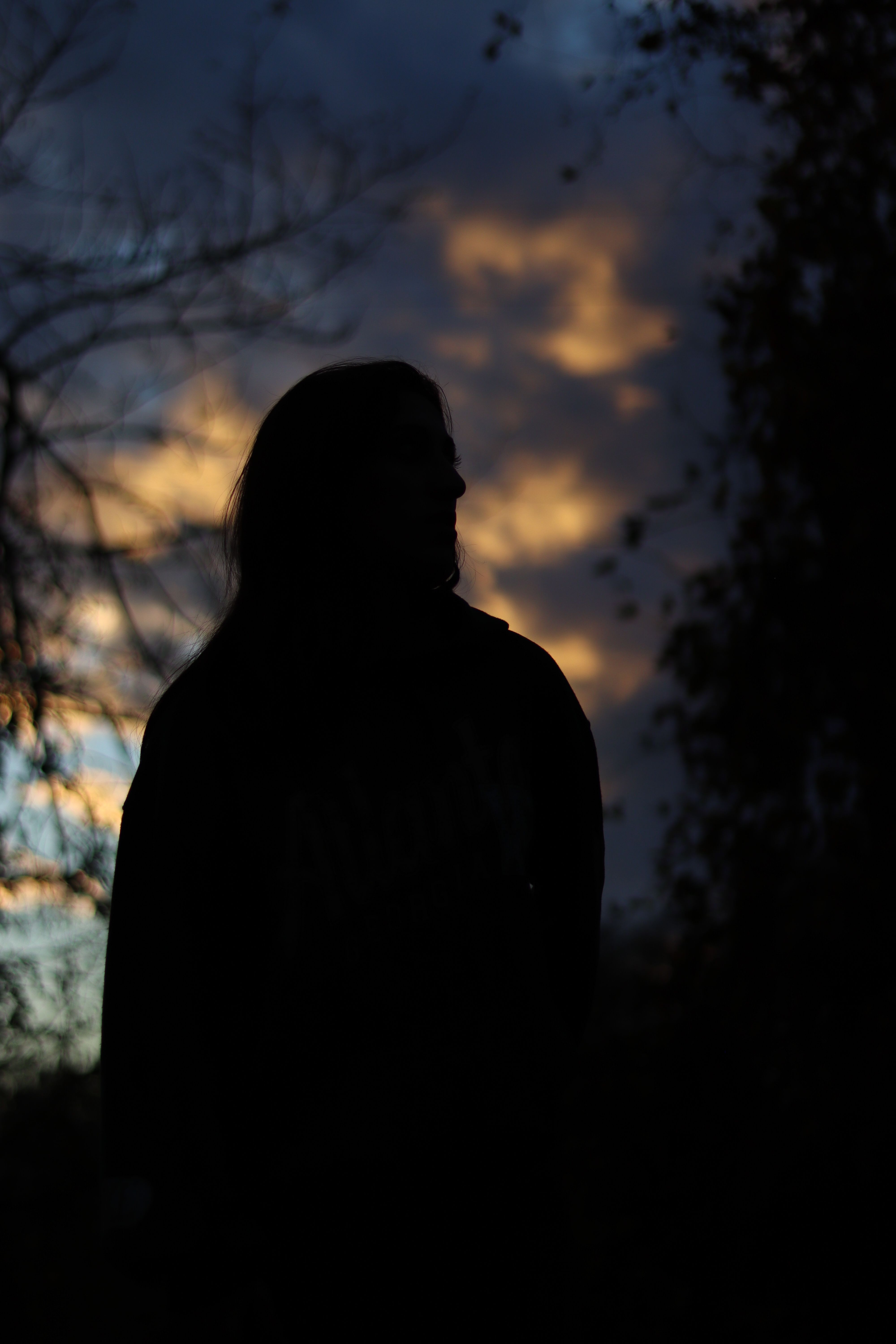 Woman Silhouette in Sunset Darkness · Free Stock Photo