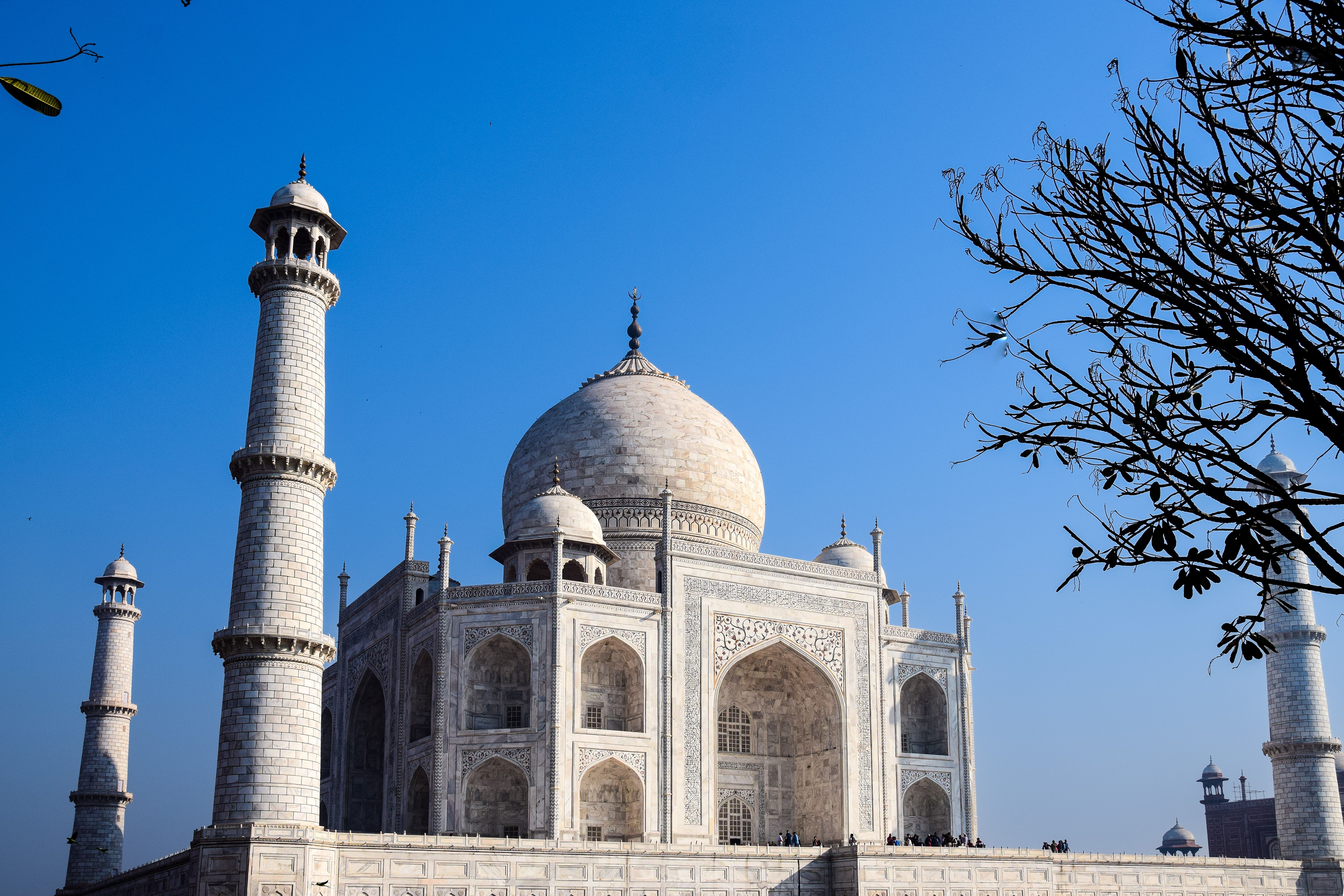 Building of Taj Mahal in India · Free Stock Photo
