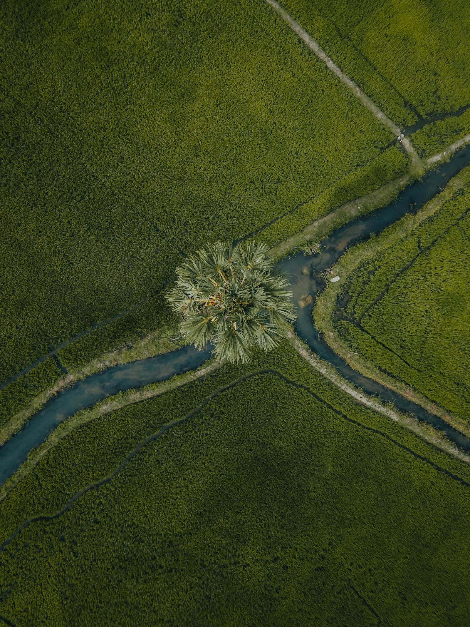 Green Writer Photos, Download The BEST Free Green Writer Stock Photos ...