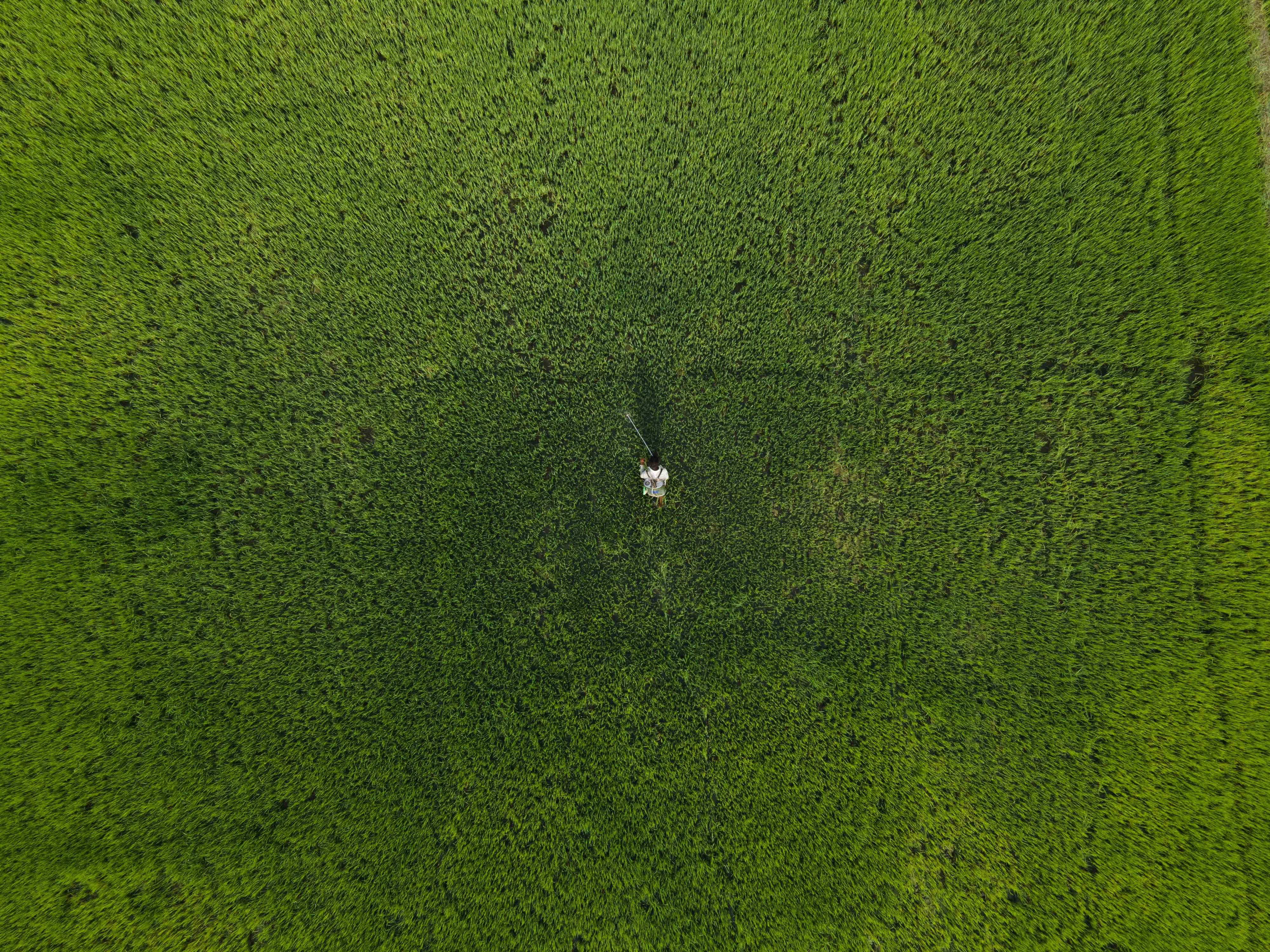Birds Eye View of Farmer on Field · Free Stock Photo
