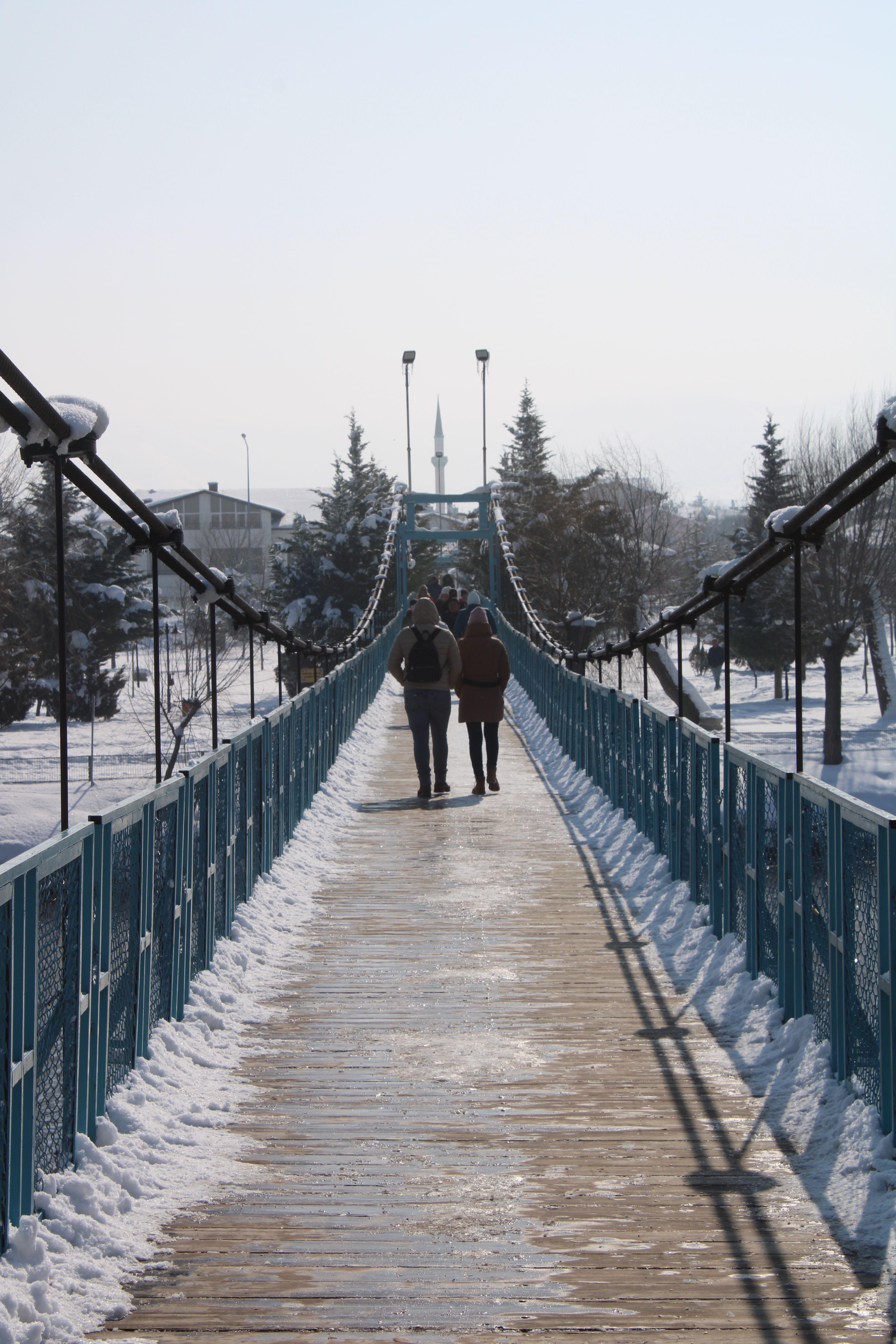 Snow & Paard Photos, Download The BEST Free Snow & Paard Stock Photos ...