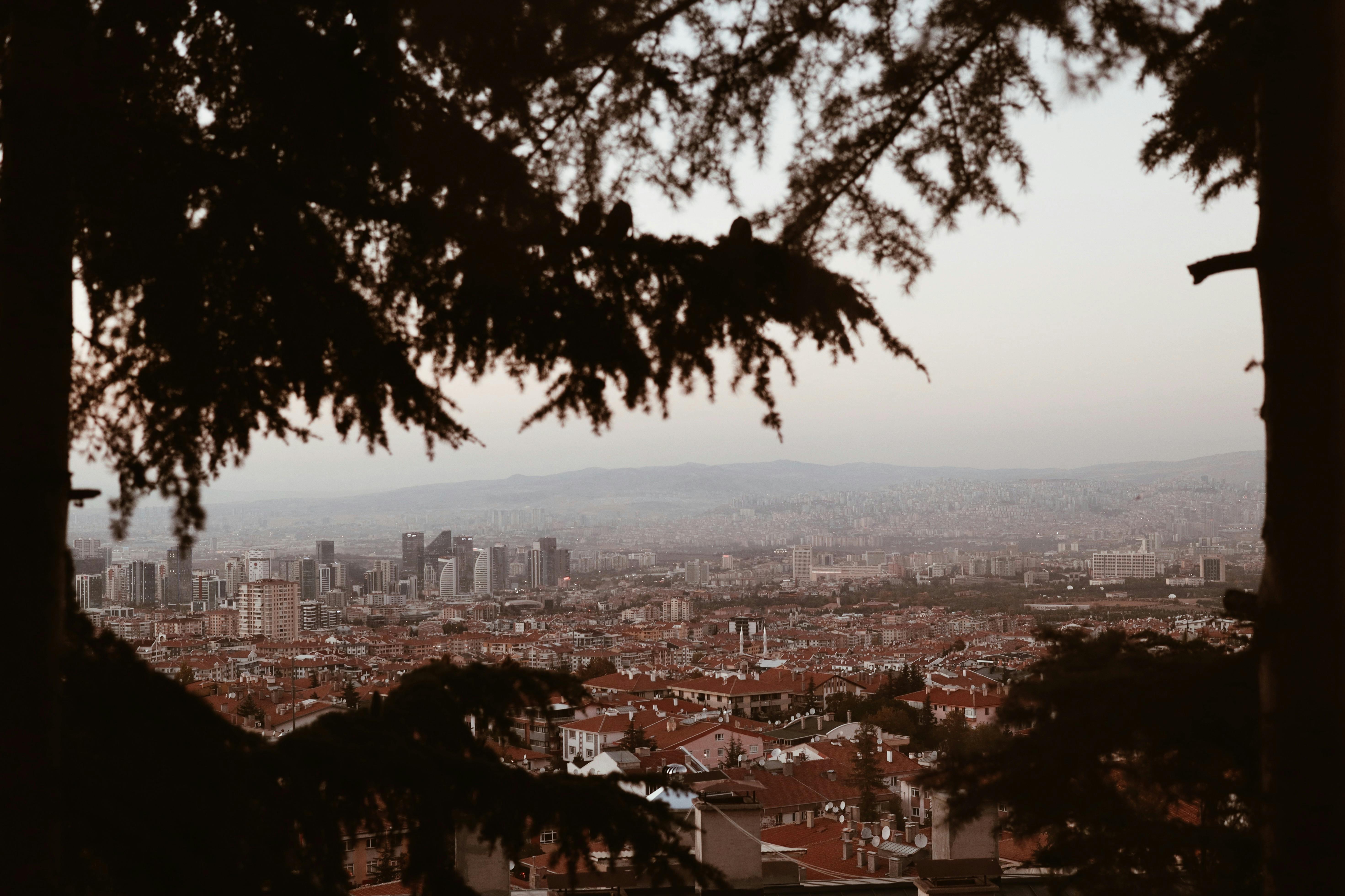 Panoramic View of a City between Tree Branches · Free Stock Photo