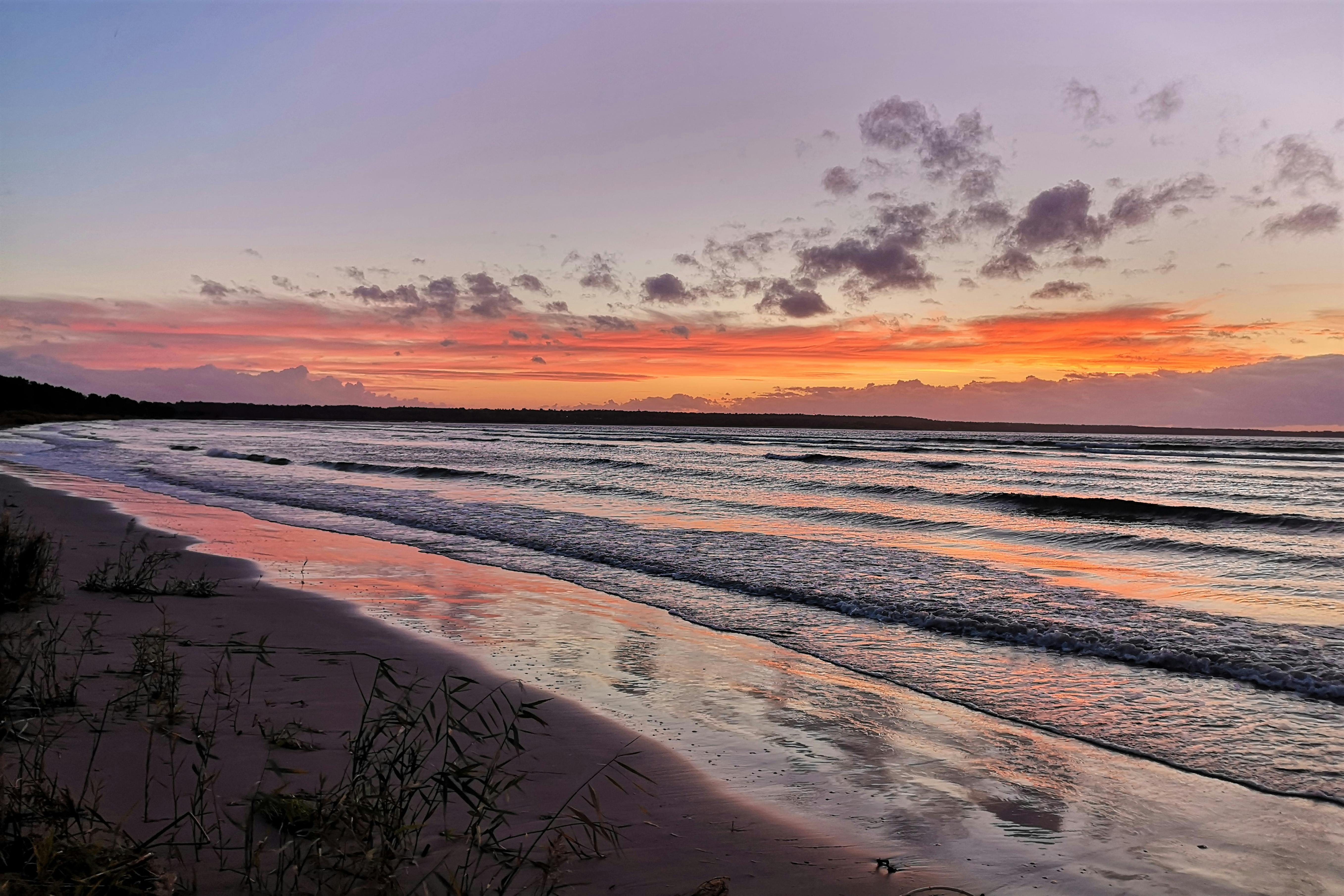 Kristin Li - Photography